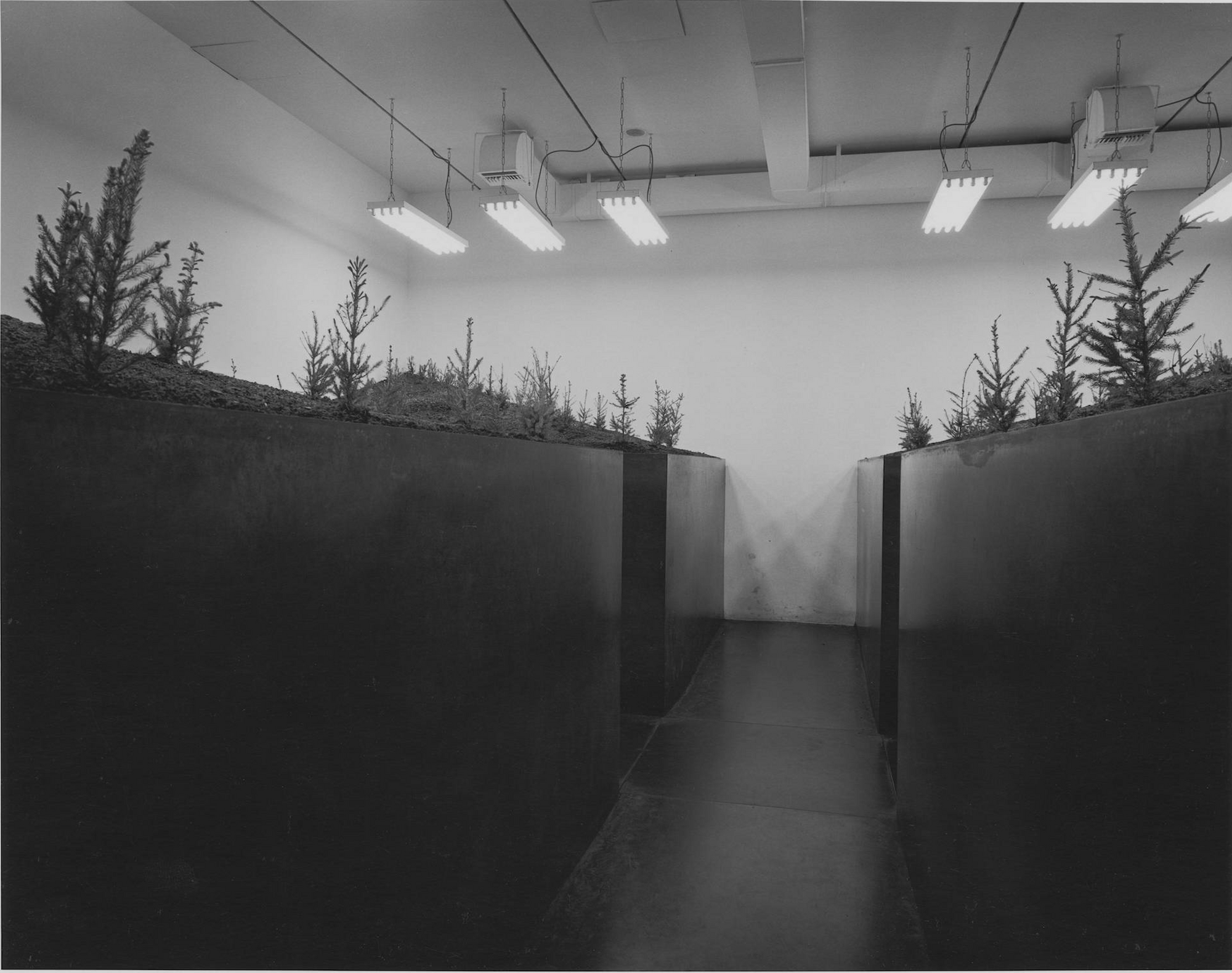 Everything Is Video: The Radical Imagination of Shigeko Kubota ...