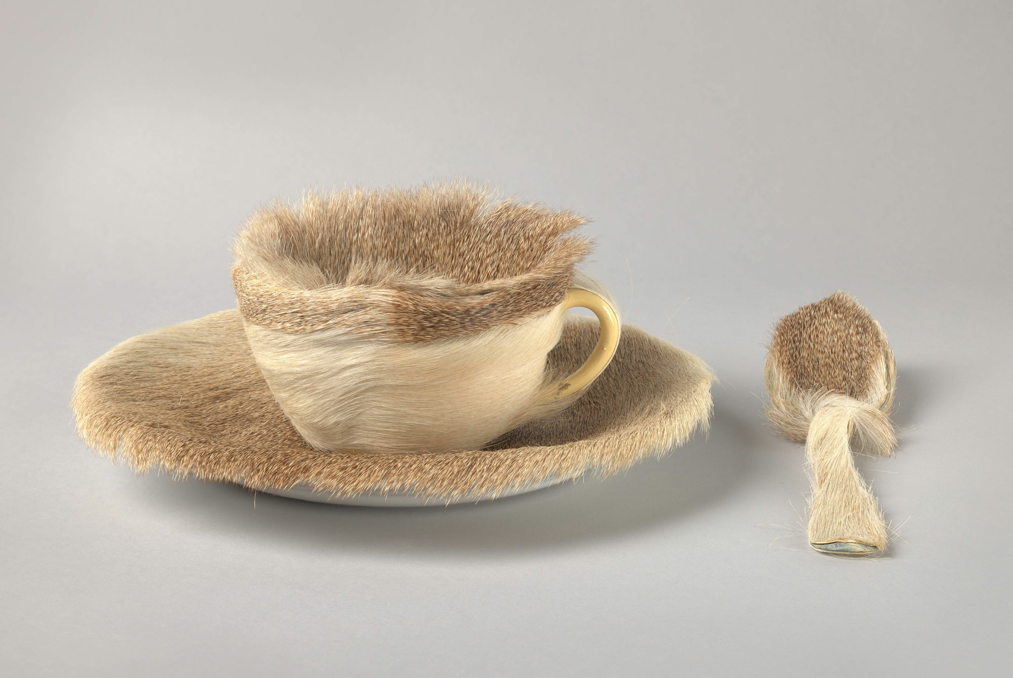 Meret Oppenheim: My Exhibition | MoMA
