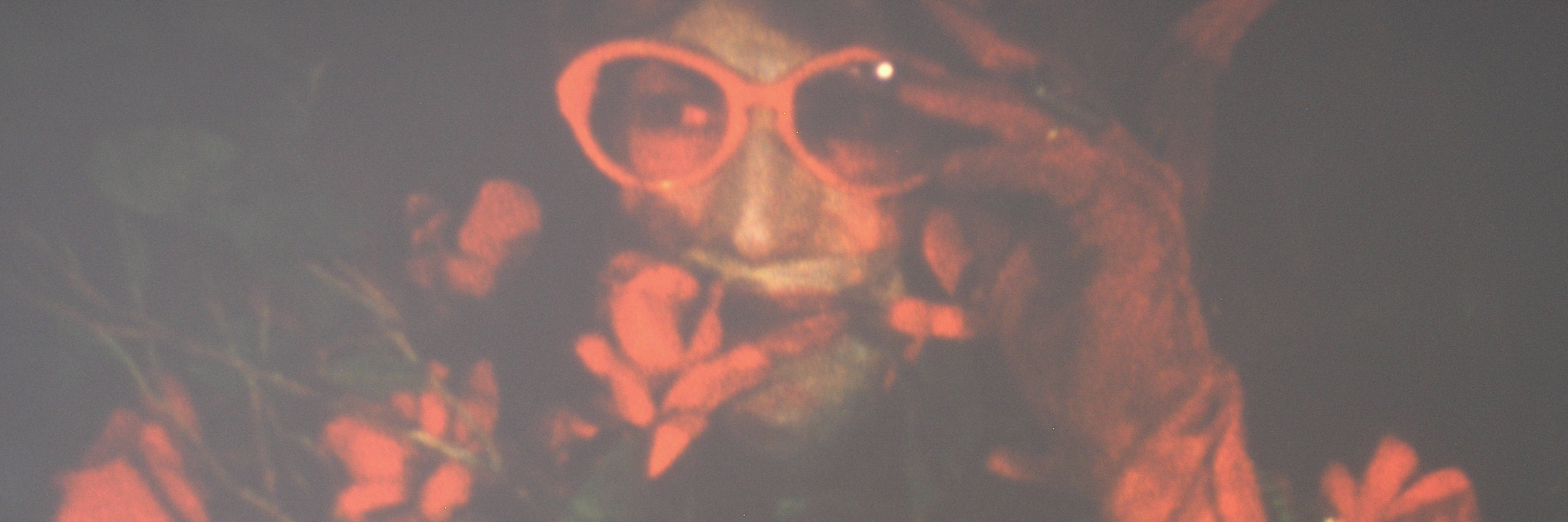 411: Jack Smith: Short Films | MoMA