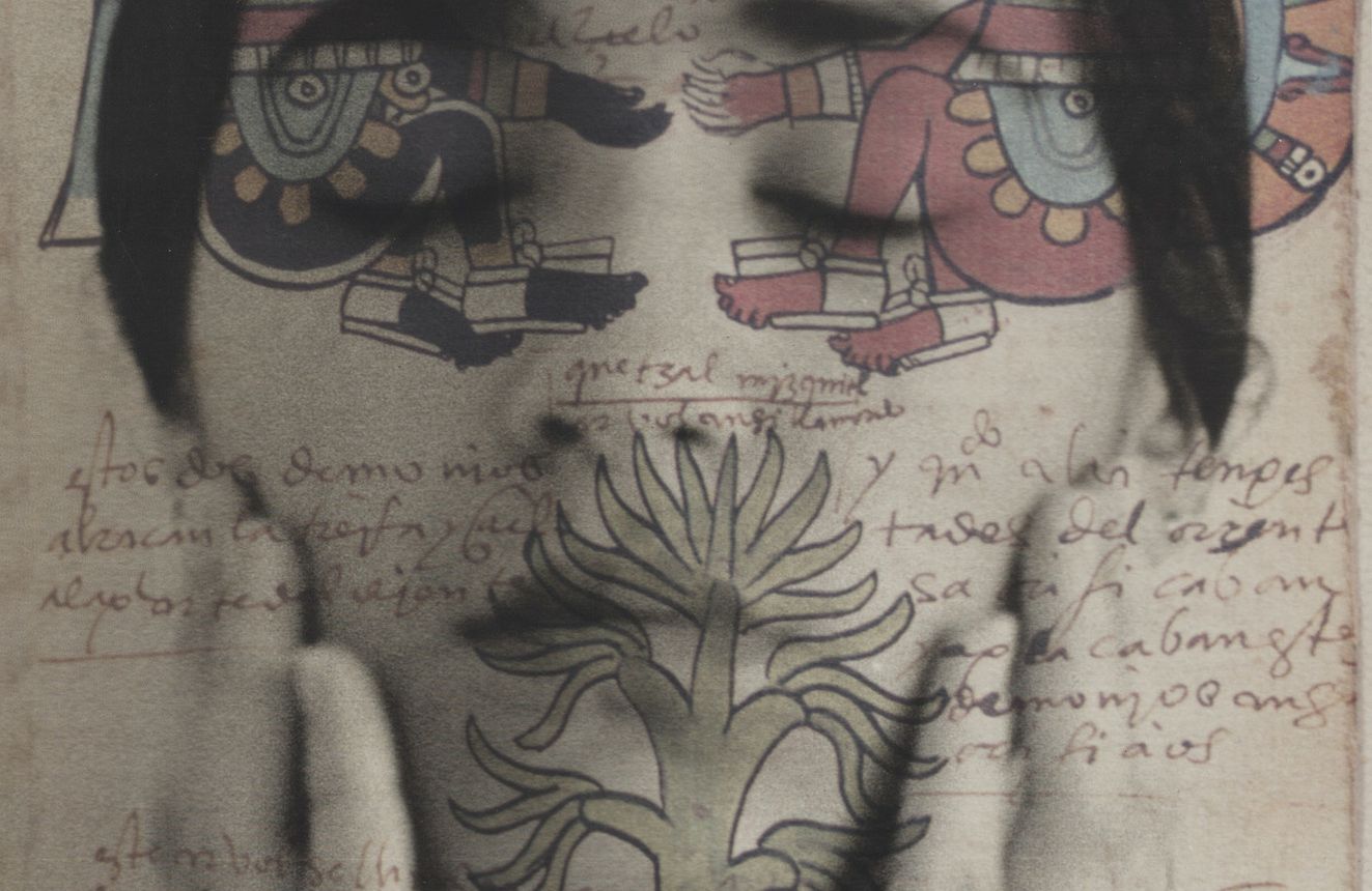 Our Selves: Photographs by Women Artists from Helen Kornblum | MoMA