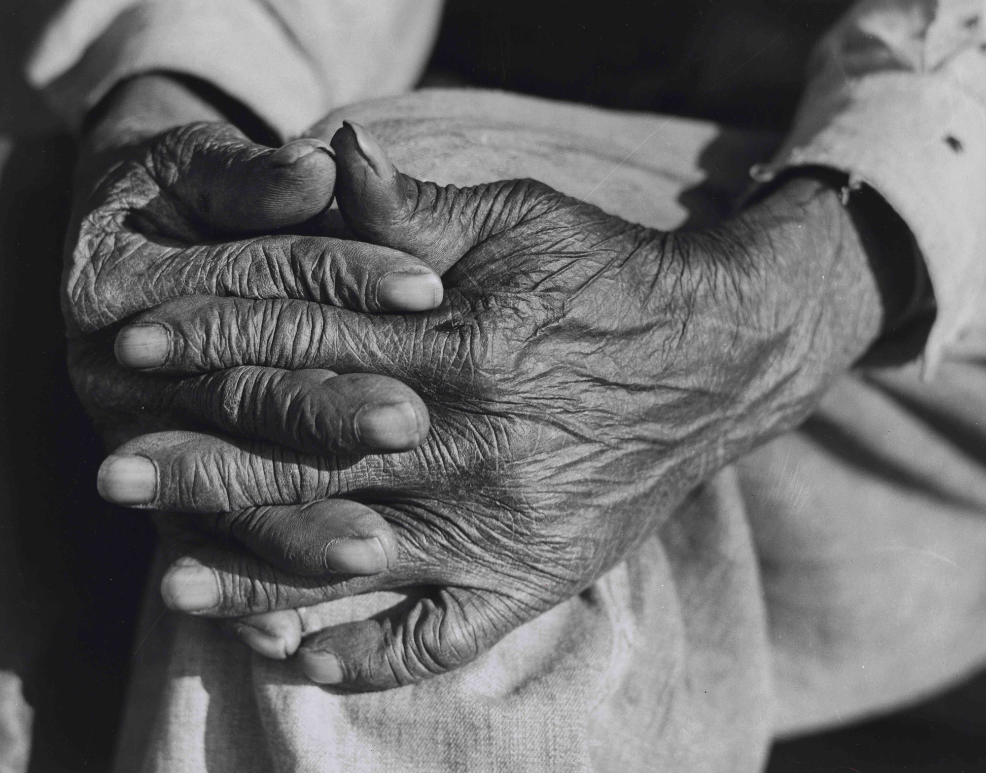 520: Documenting Rural American Life | MoMA