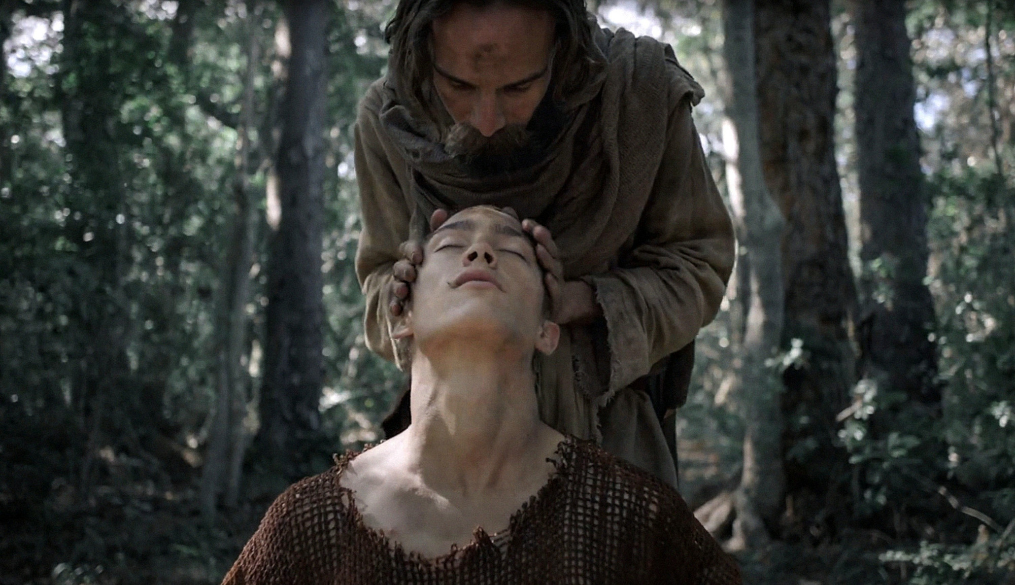 Gaia. 2021. Directed by Jaco Bouwer | MoMA