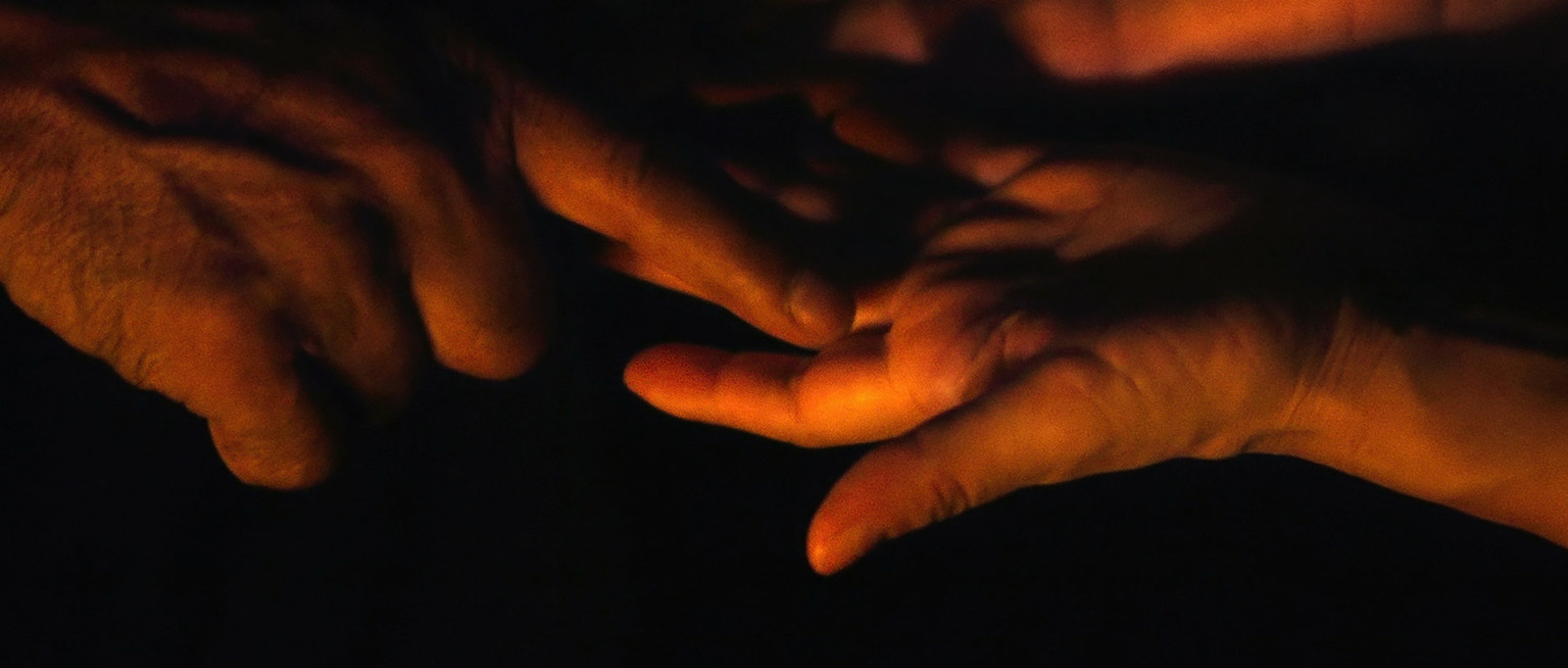 Projects: Carolina Caycedo and David de Rozas | MoMA