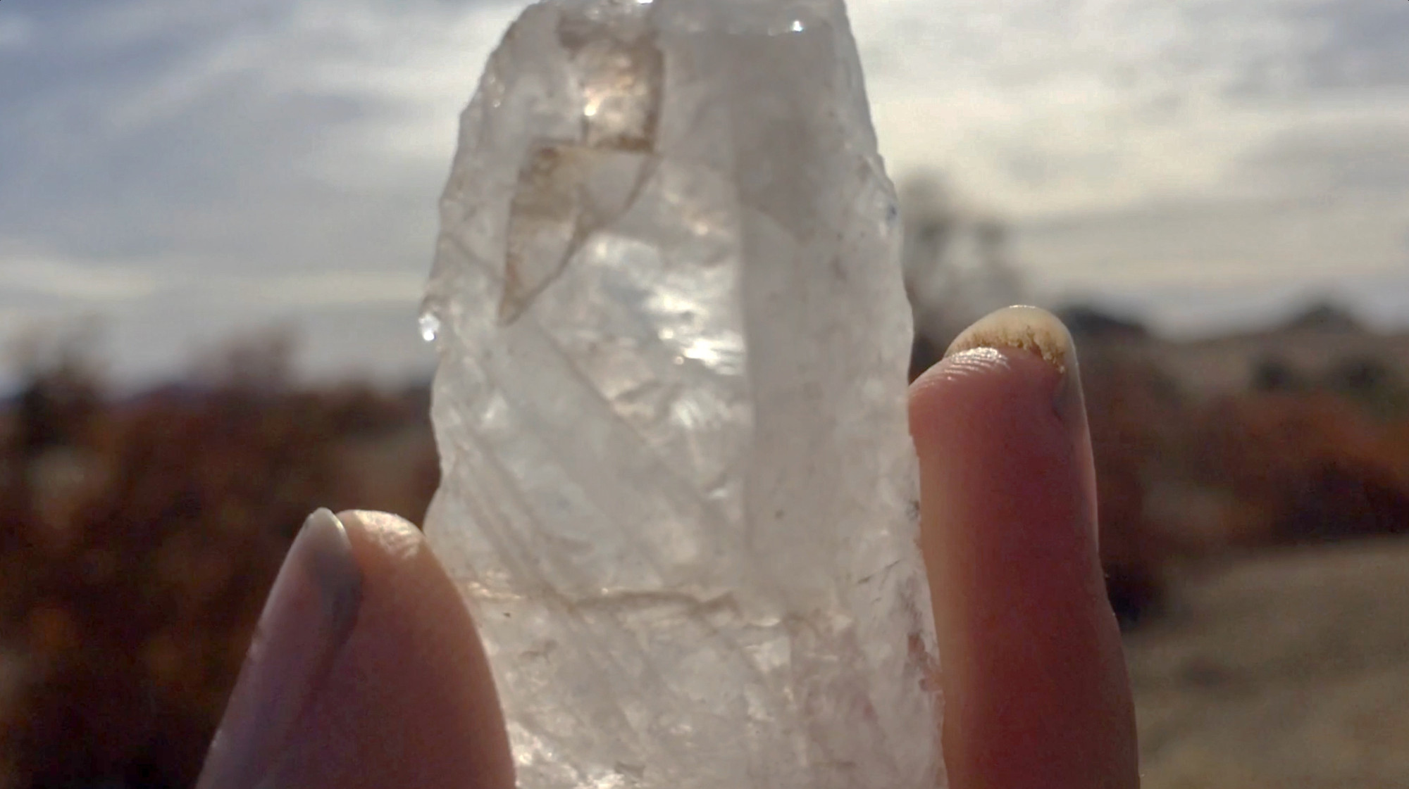 An Evening with Fox Maxy | MoMA