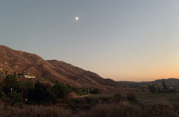 “If you can be a woman at 20 // can you at 60” by Jameson Fitzpatrick ...