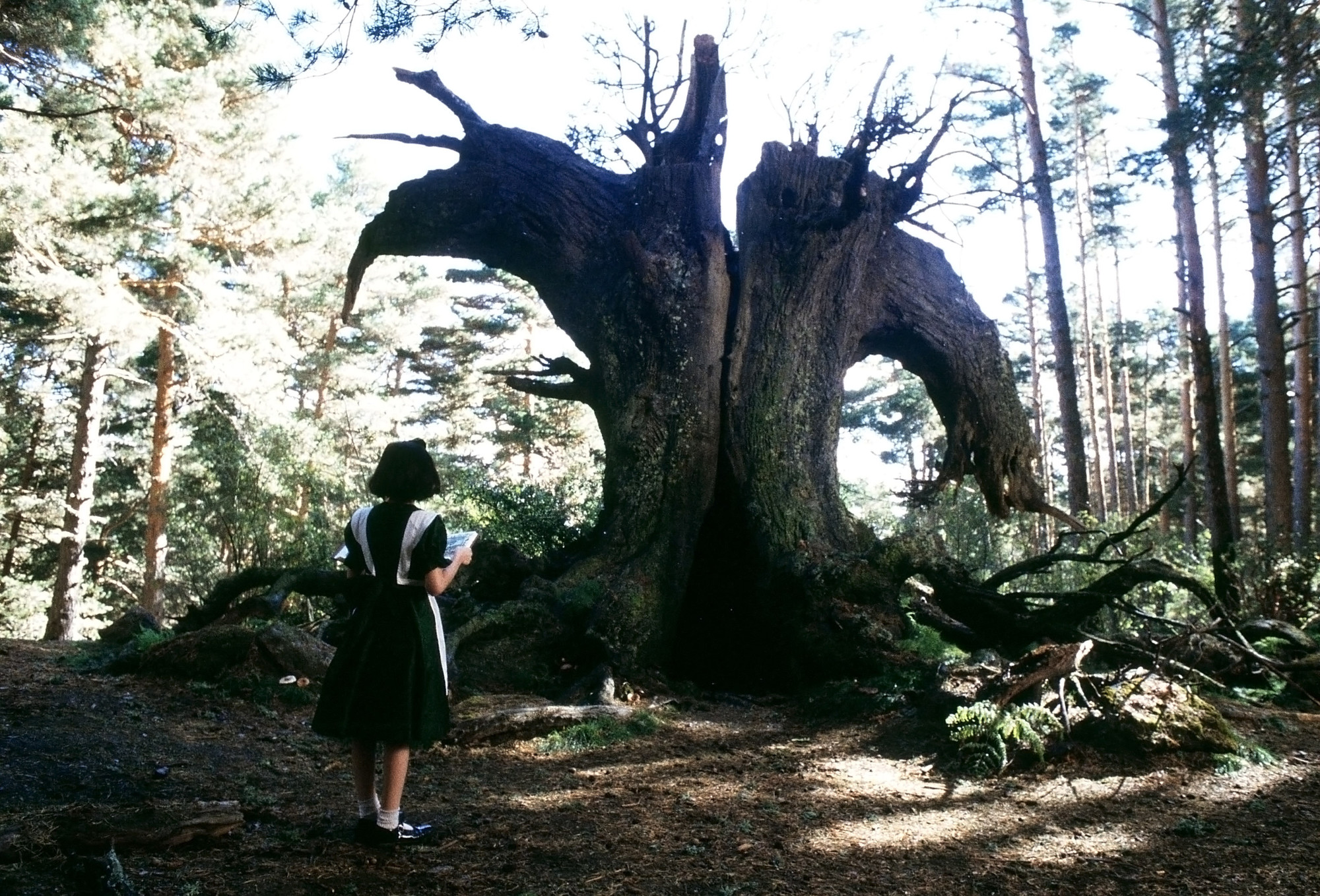 El laberinto del fauno (Pan's Labyrinth). 2006. Written and directed by ...