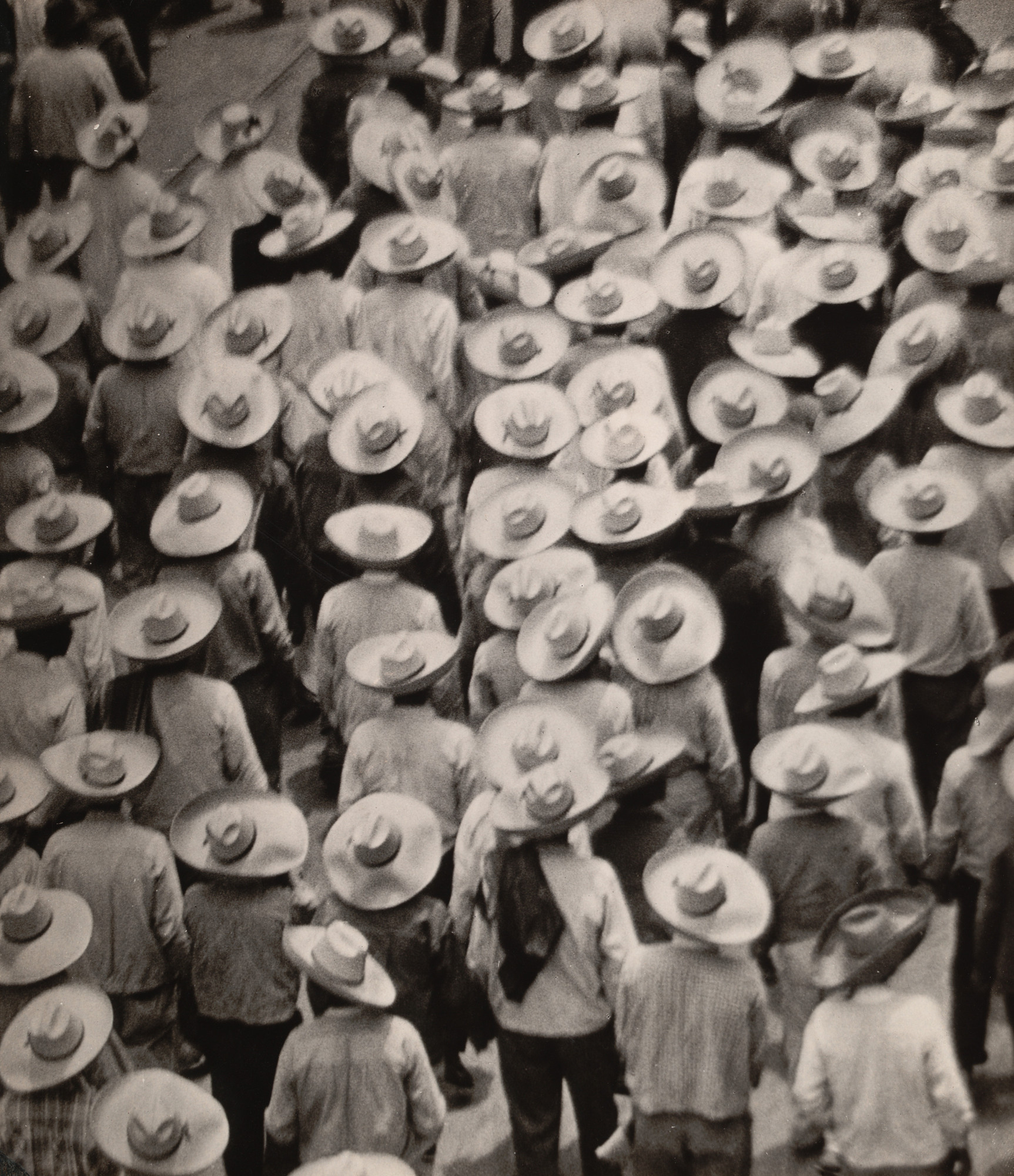 Tina Modotti | MoMA