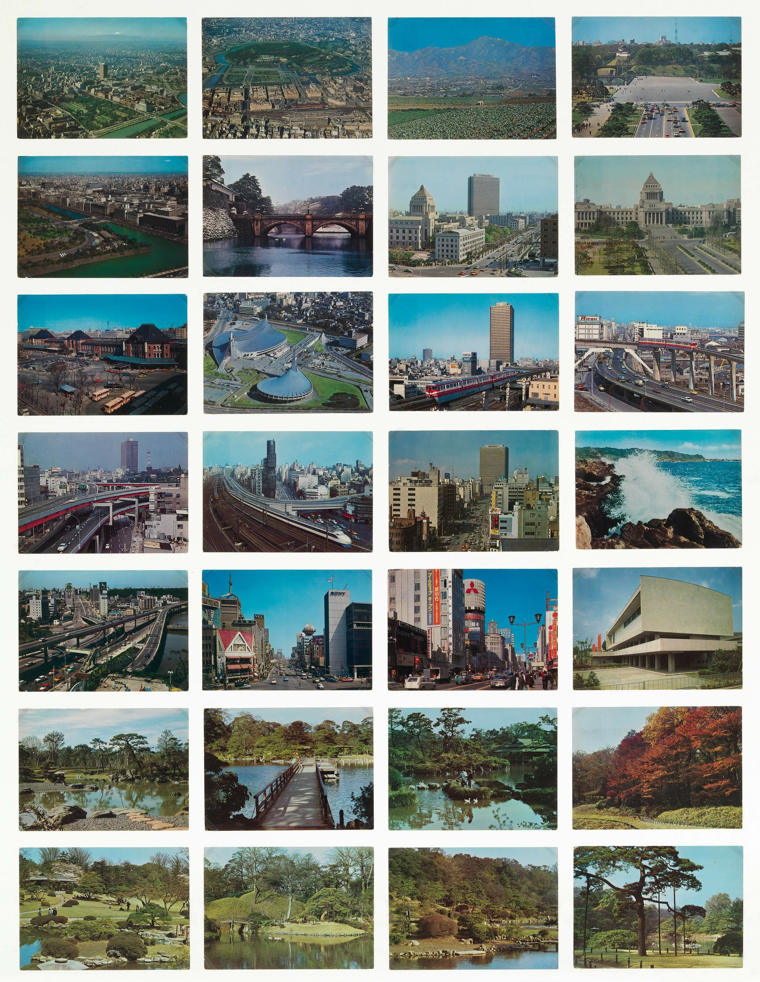 Writing Club at Home: On Sunlight/Moonlight with Alice Sparkly Kat | MoMA