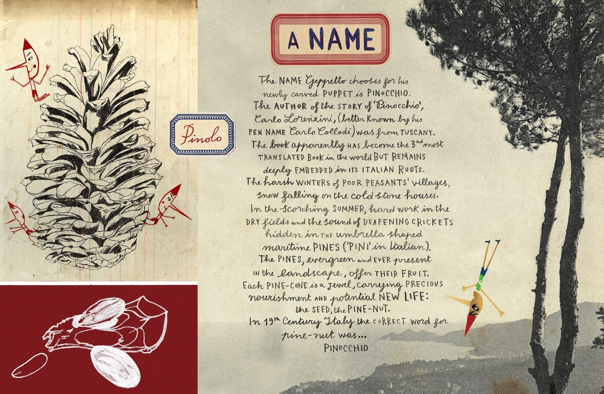 Sara Fanelli’s Pinocchio: From Michelangelo to Guillermo del Toro ...