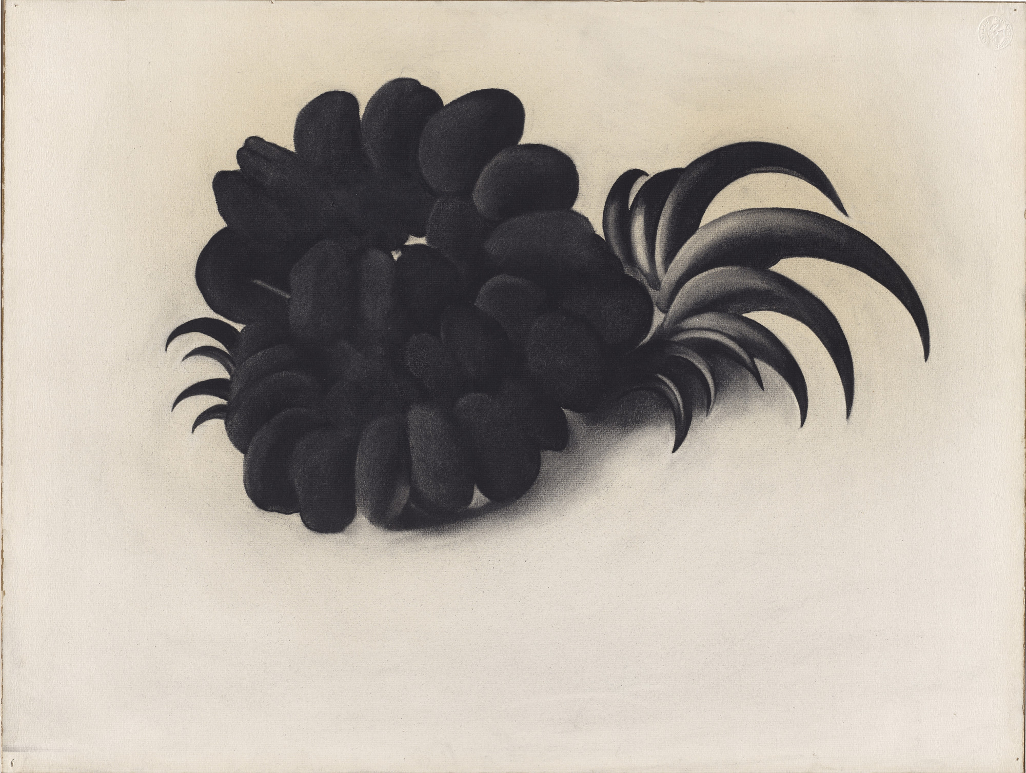Georgia O’Keeffe. Eagle Claw and Bean Necklace. 1934 | MoMA