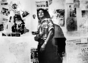 Carte Blanche: Amy Taubin | MoMA