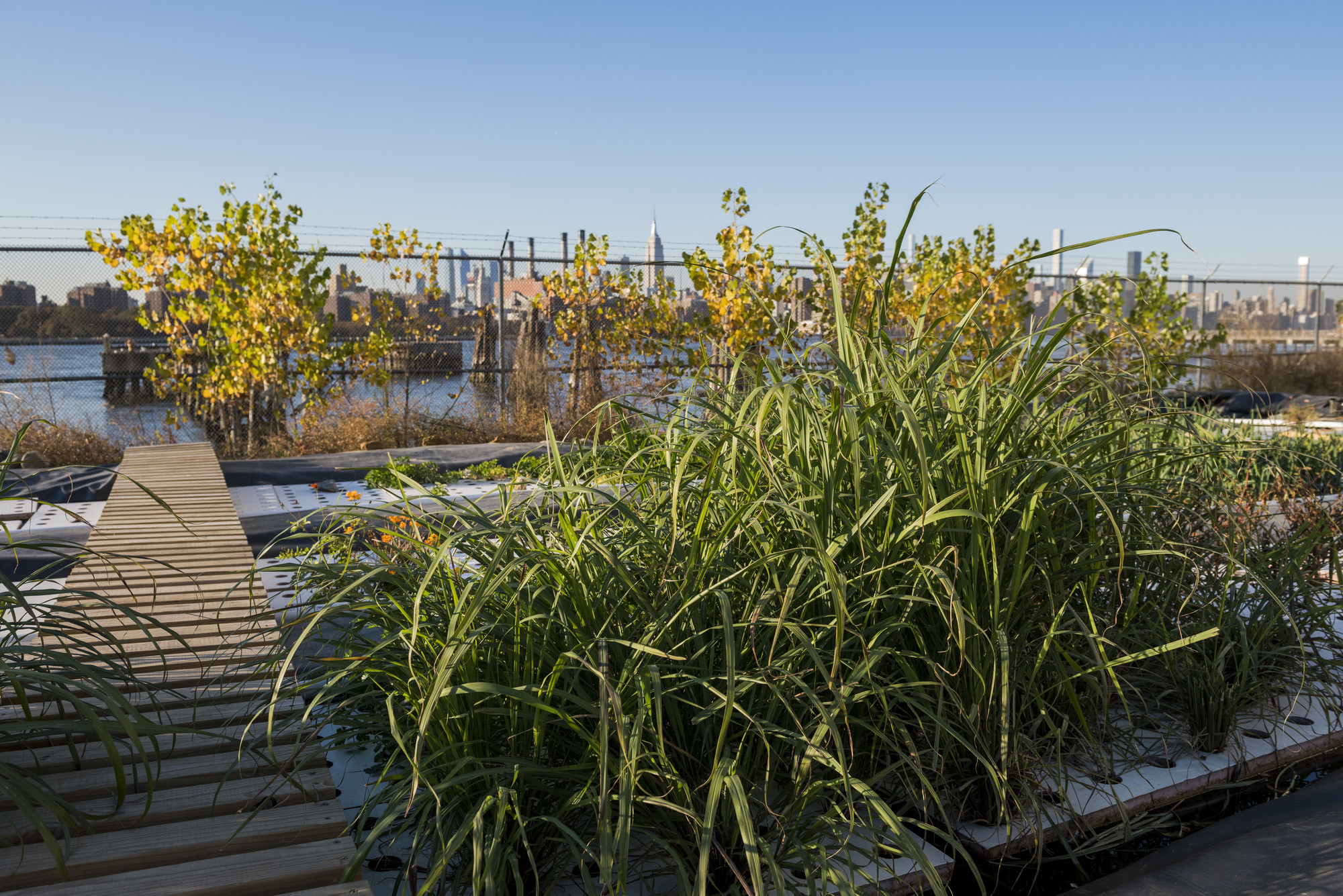 Member Sustainability Series: Oko Farms Tour and Workshop | MoMA