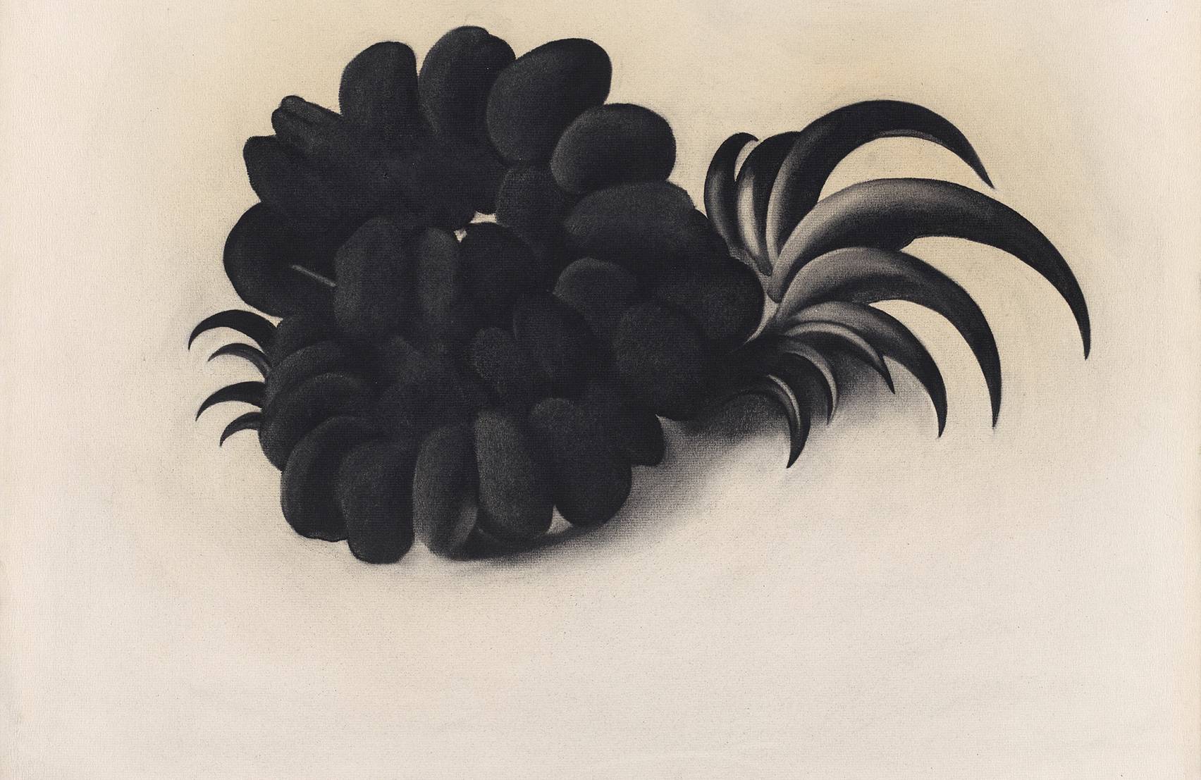 Georgia O’Keeffe: To See Takes Time | MoMA
