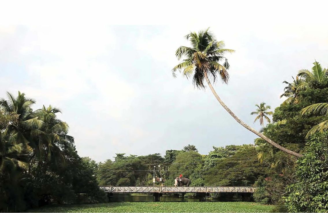 Chosen Memories: Contemporary Latin American Art from the Patricia ...