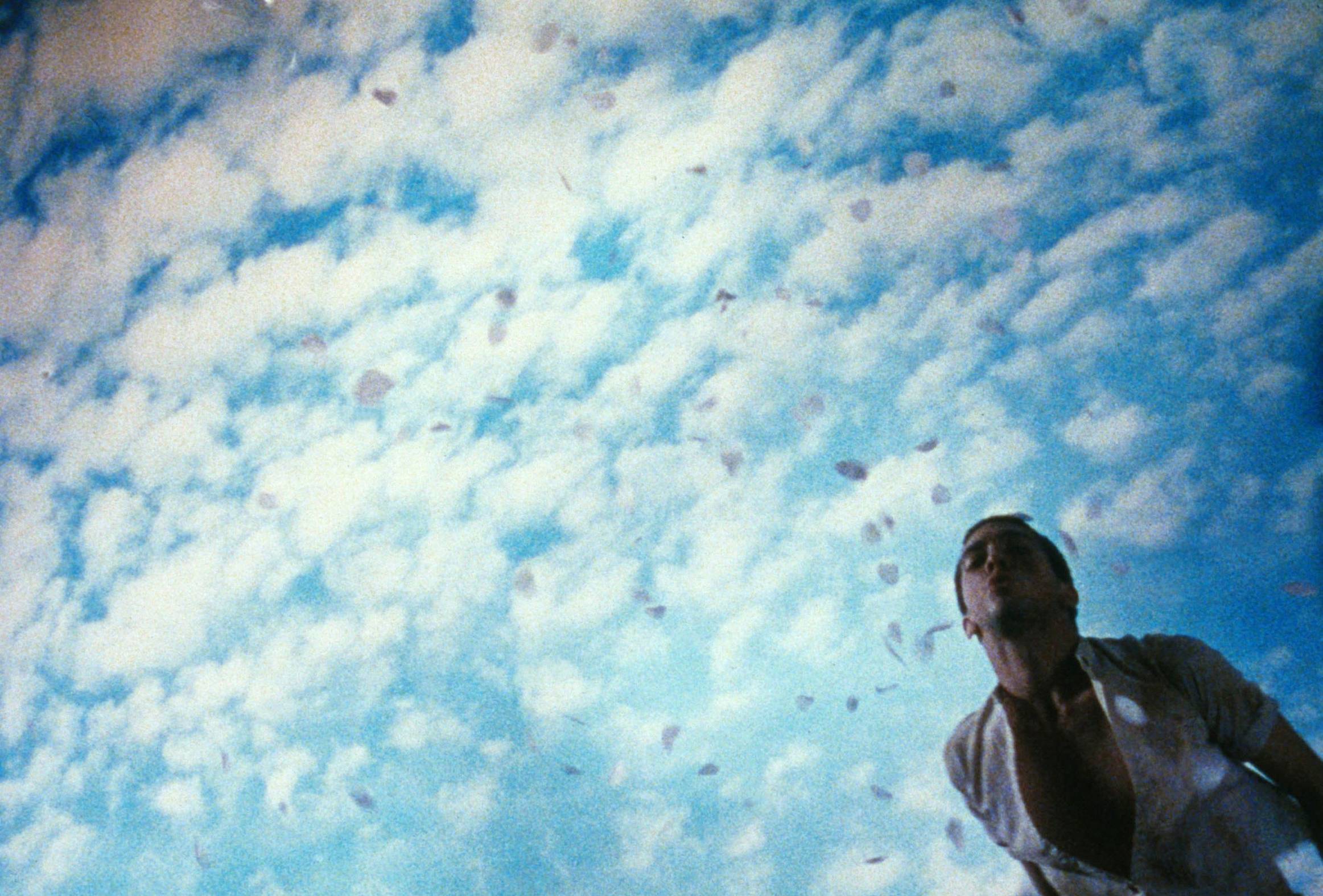 Poison. 1991. Written and directed by Todd Haynes God Is My Gigolo ...