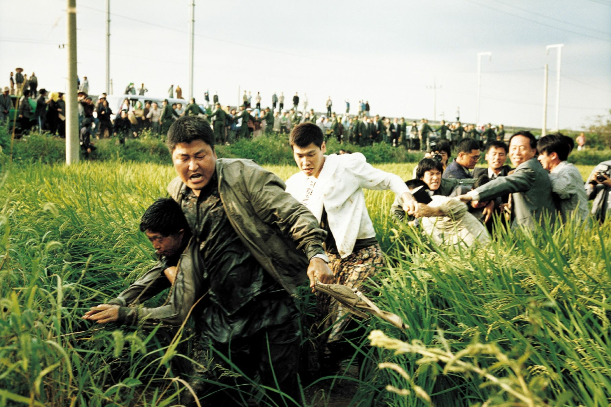 Memories of Murder. 2003. Directed by Bong Joon-ho | MoMA