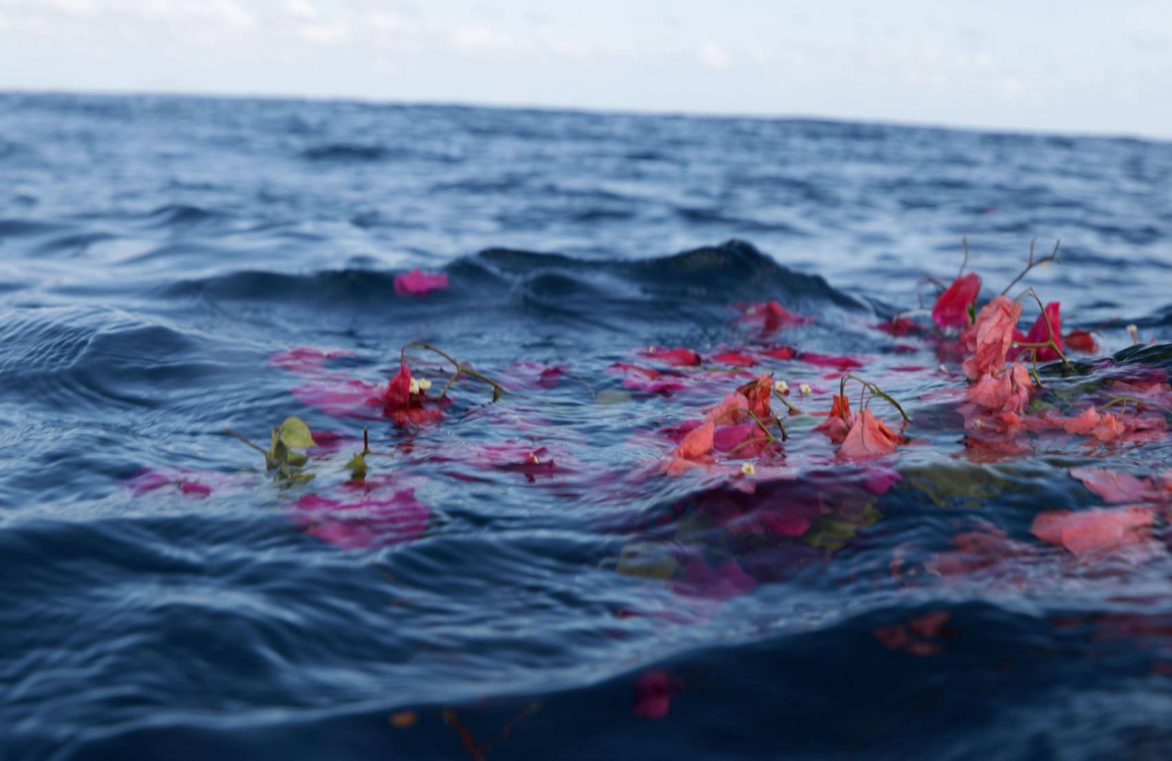 Projects: Dineo Seshee Bopape | MoMA