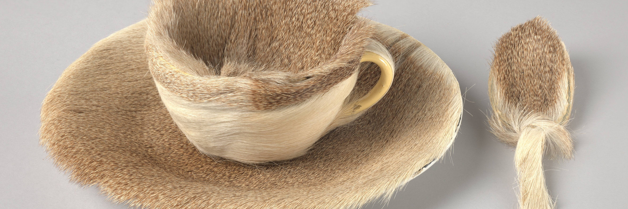 Surrealist Objects and Assemblage | MoMA