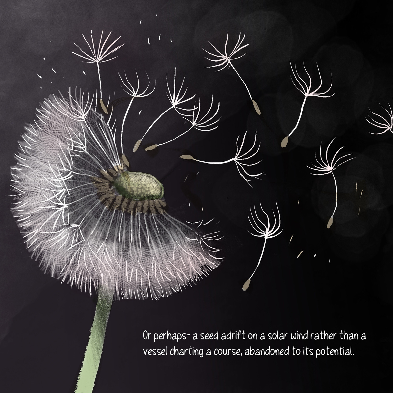 Ted Closson’s Beautiful Dreams | Magazine | MoMA