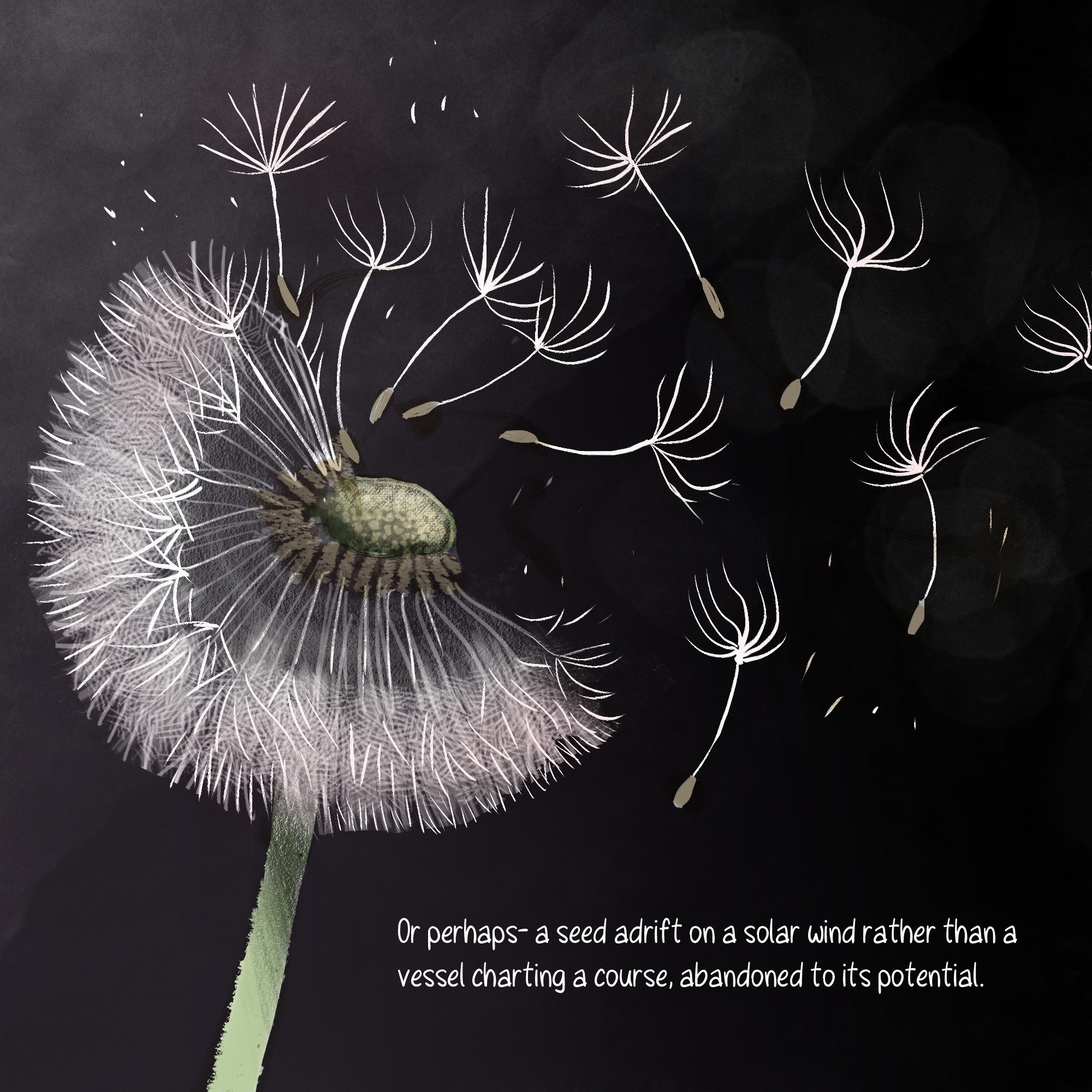 Ted Closson’s Beautiful Dreams | Magazine | MoMA