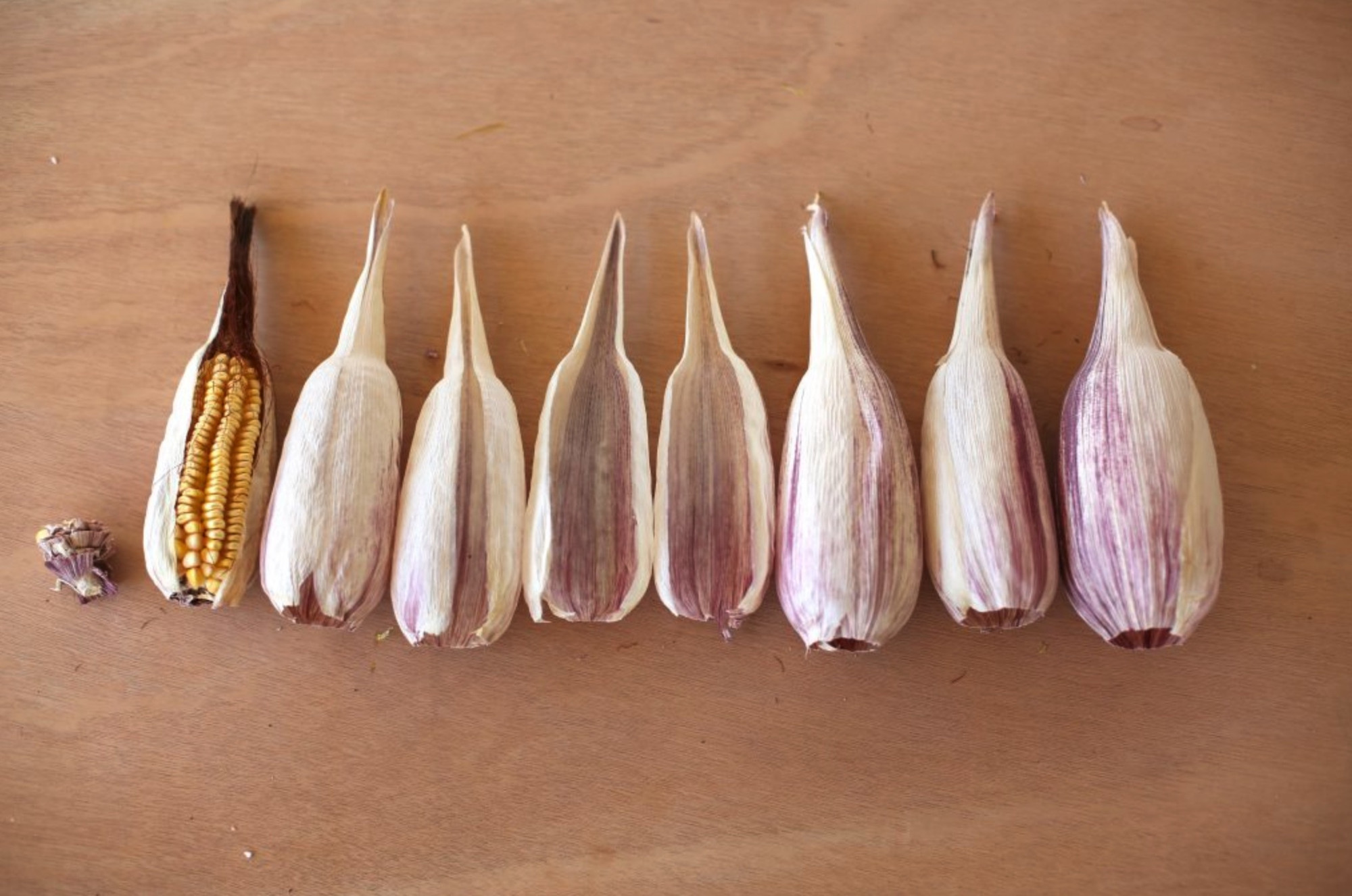 An Old Crop Gets a New Life | Magazine | MoMA