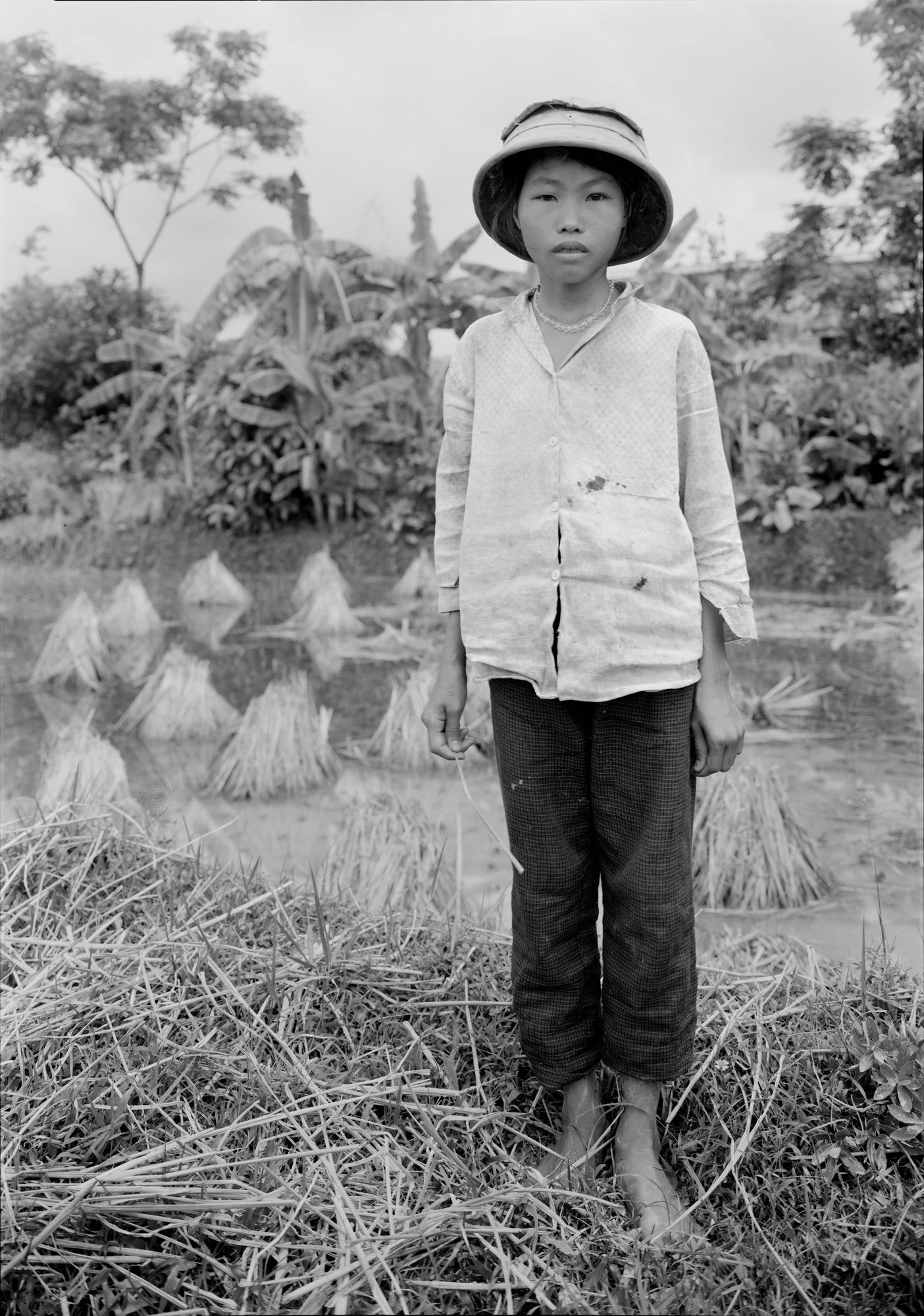 For the Love of Two Rivers: An-My Lê’s Fluid Gaze | Magazine | MoMA