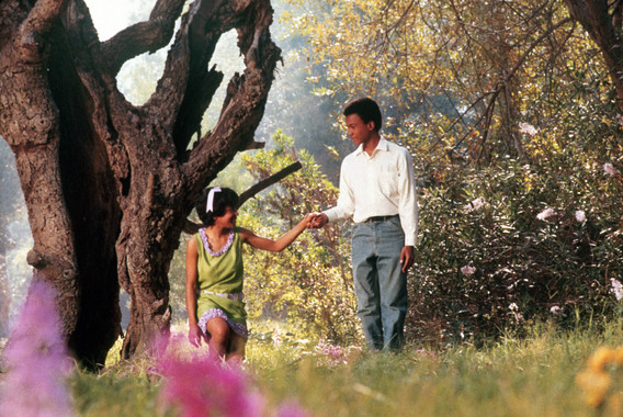 Making Waves: An Odyssey through Black Cinema | Magazine | MoMA