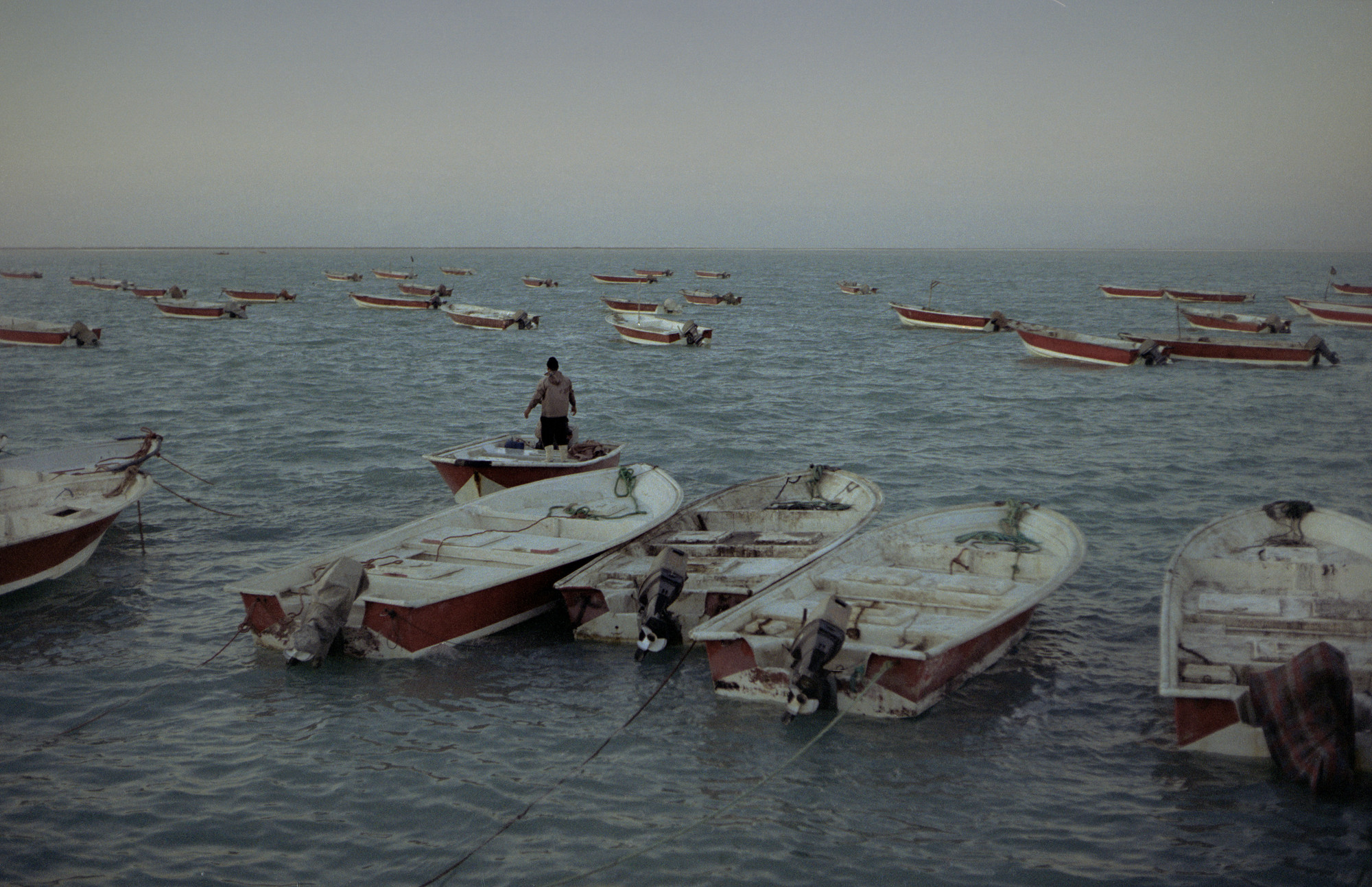 Meezan. 2023. Directed by Shahab Mihandoust | MoMA