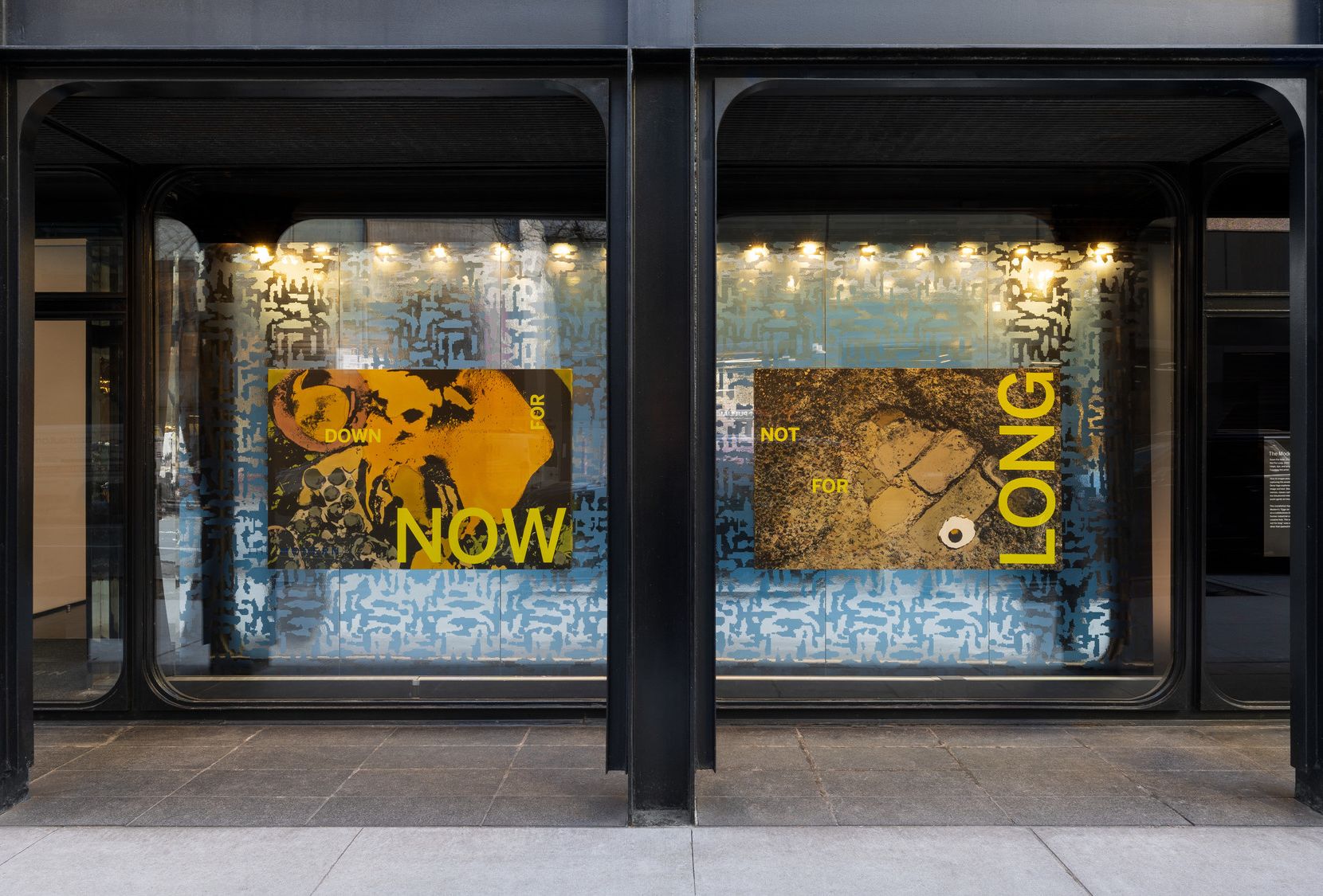 Patron Week: The Modern Window Artist Talk | MoMA