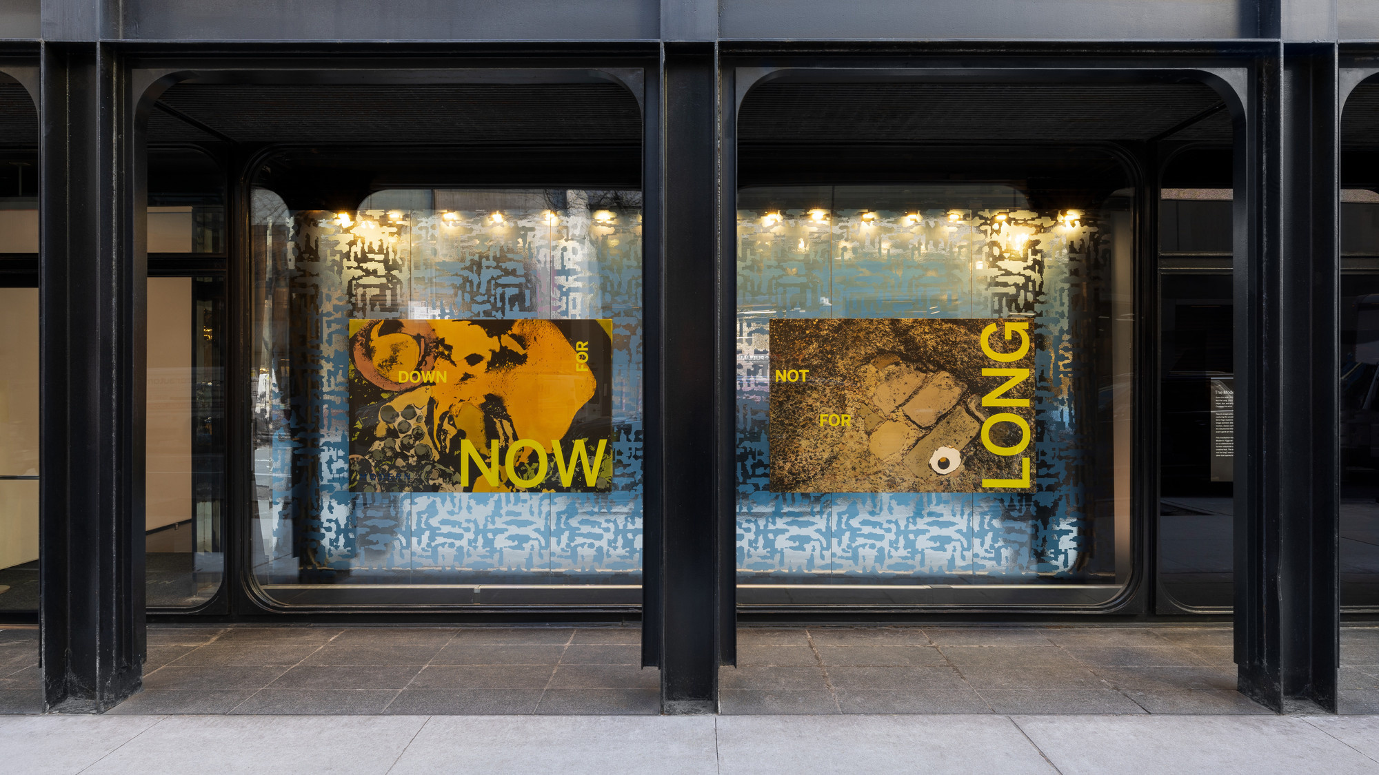 Patron Week: The Modern Window Artist Talk | MoMA