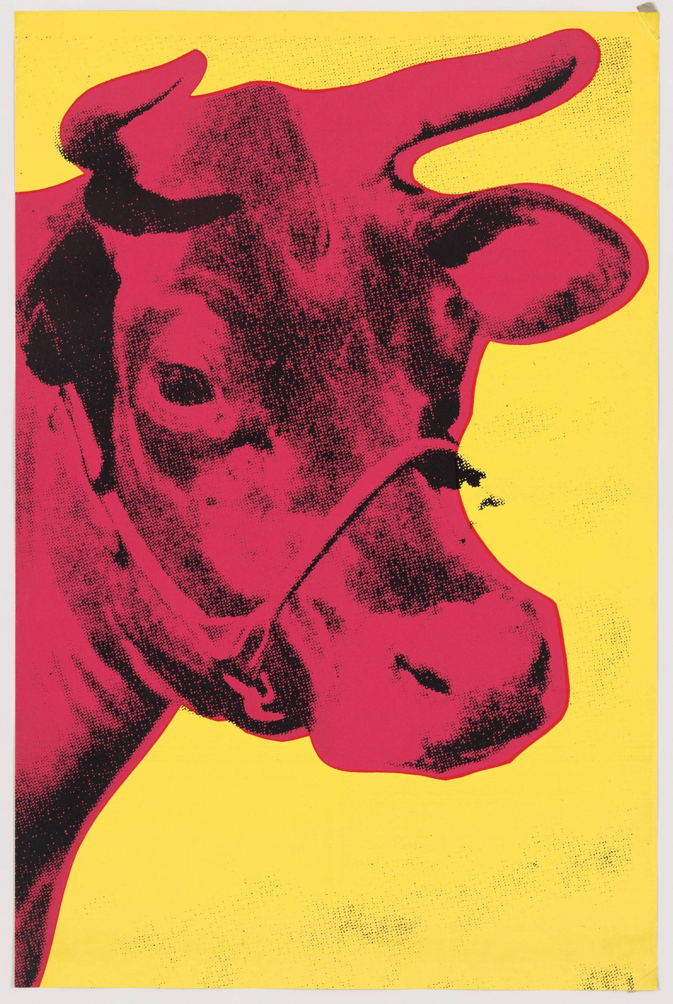 Why Did Andy Warhol Make Cow Wallpaper? | Magazine | MoMA