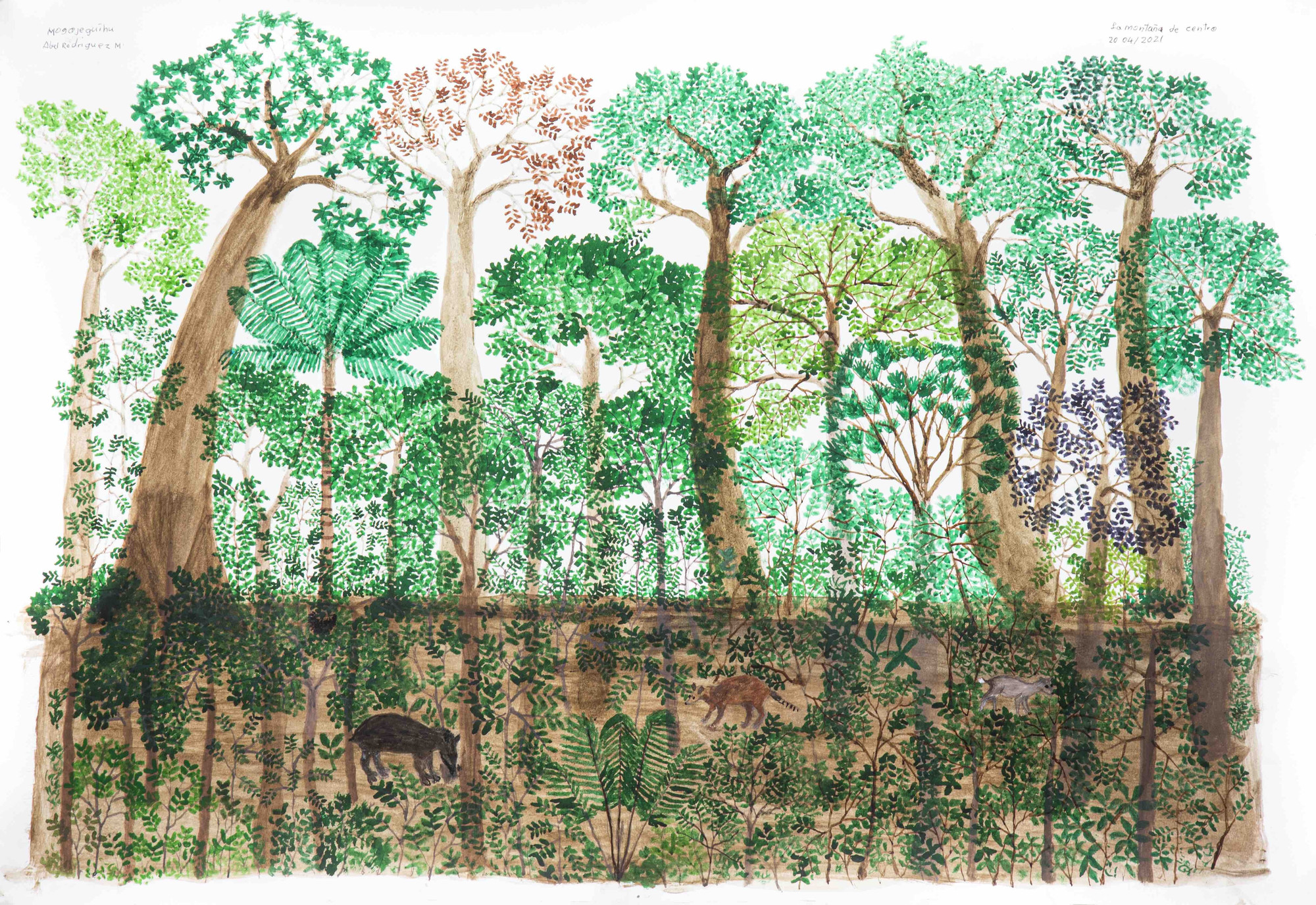 Abel Rodríguez: Between Planting and Painting | Magazine | MoMA