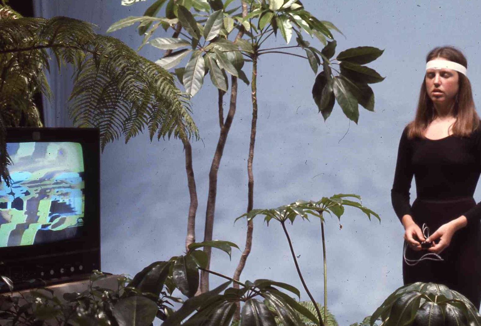 The Secret Life of Plants. 1978. Directed by Walon Green | MoMA
