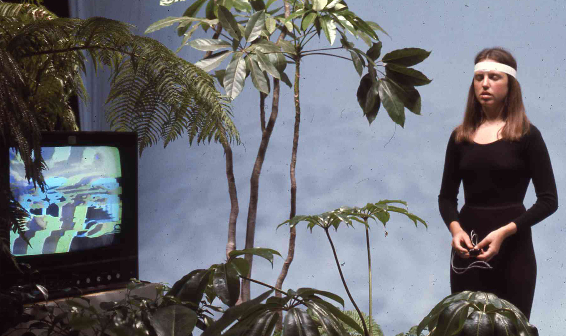 The Secret Life of Plants. 1978. Directed by Walon Green | MoMA