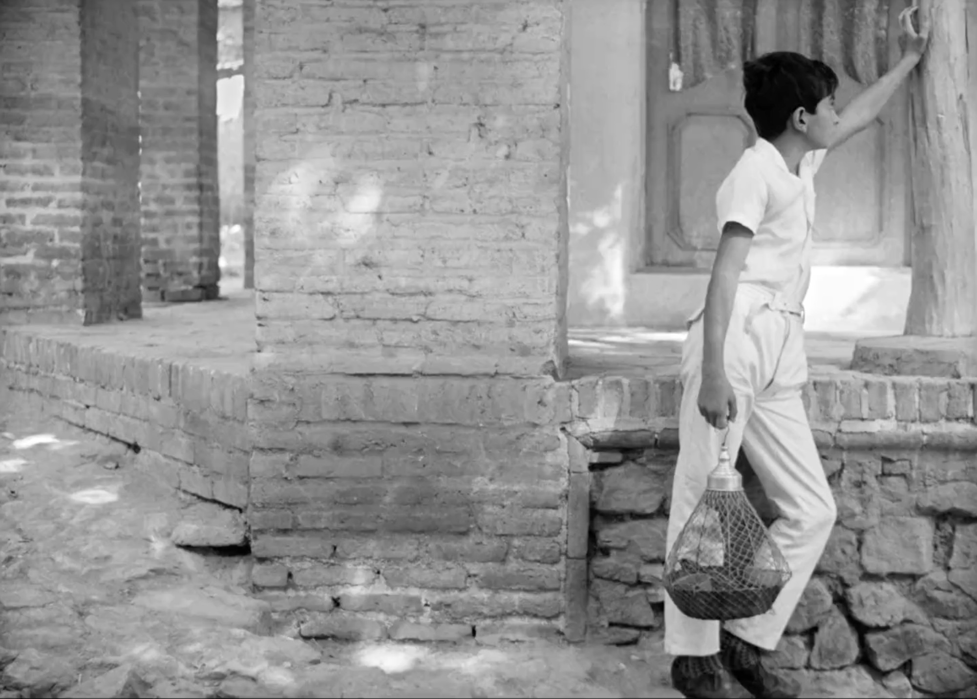 The Quail: The Tale of a Boy Who Asks. 1970. Directed by Mohammad Reza ...