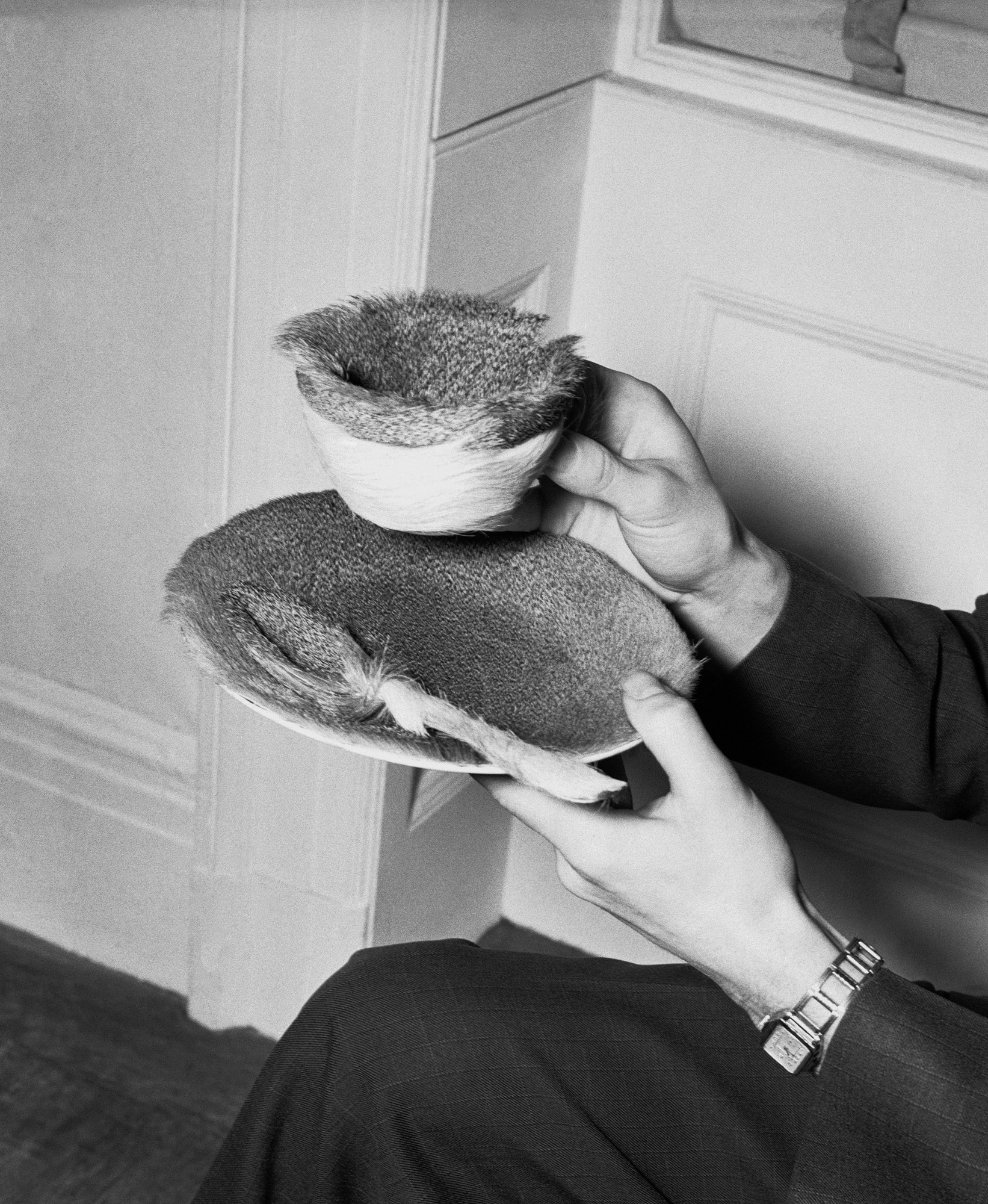 The Curious Case of Meret Oppenheim’s Furry Teacup | Magazine | MoMA