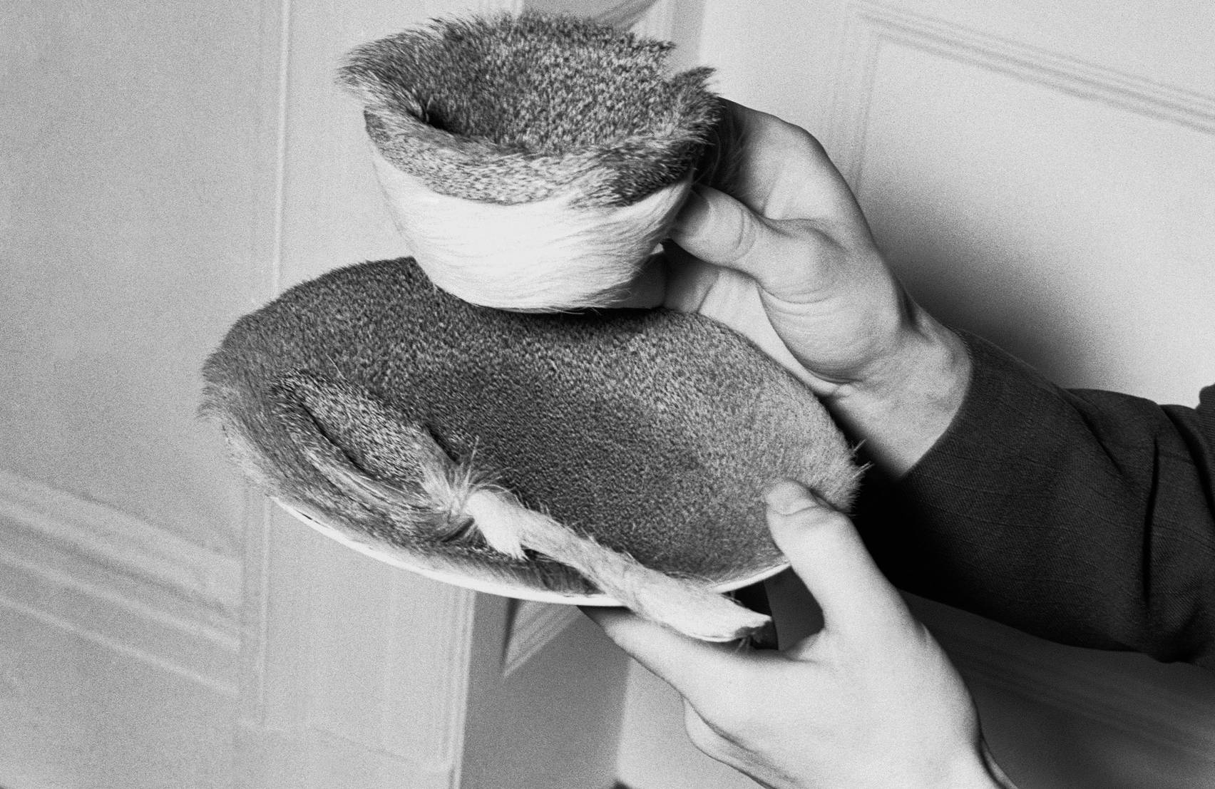 517: Surrealist Objects | MoMA