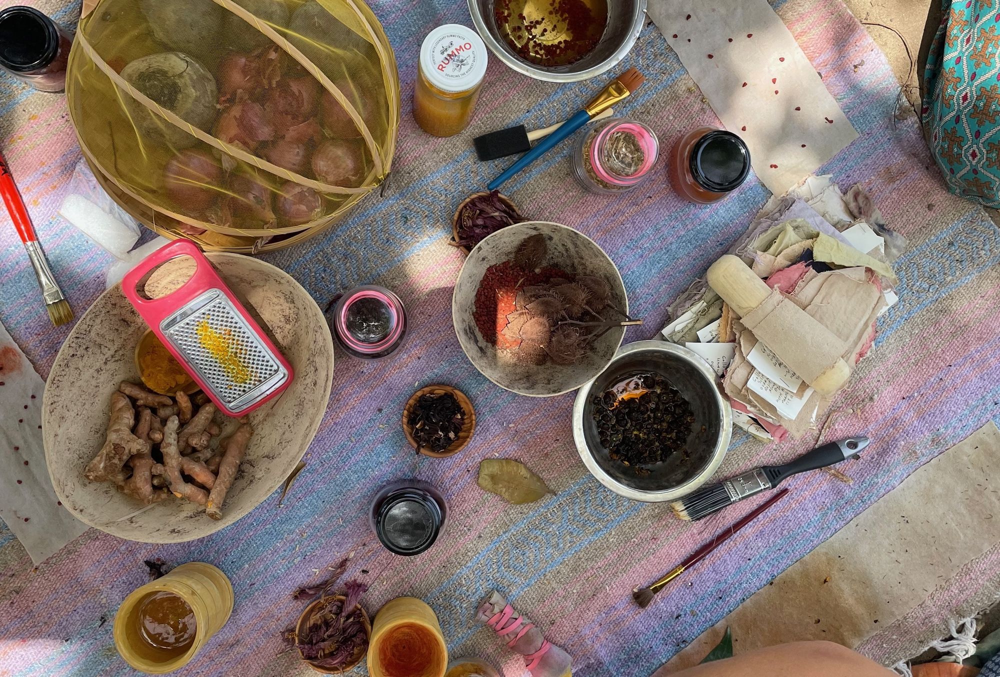 Eco-Dyeing with Plants Workshop | MoMA