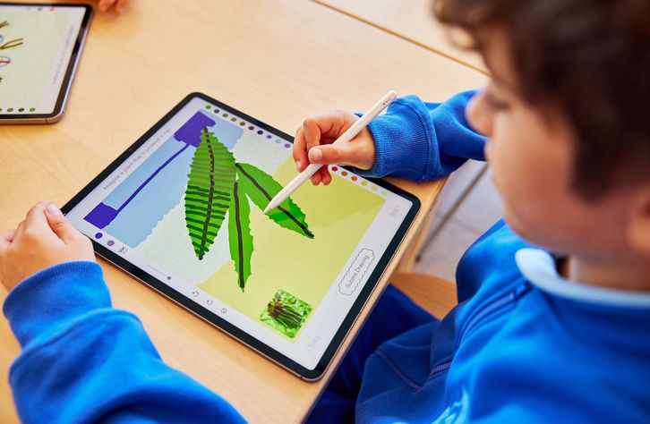 A Soft Place to Land: Lexy Ho-Tai on Building a Kinder World | Magazine ...