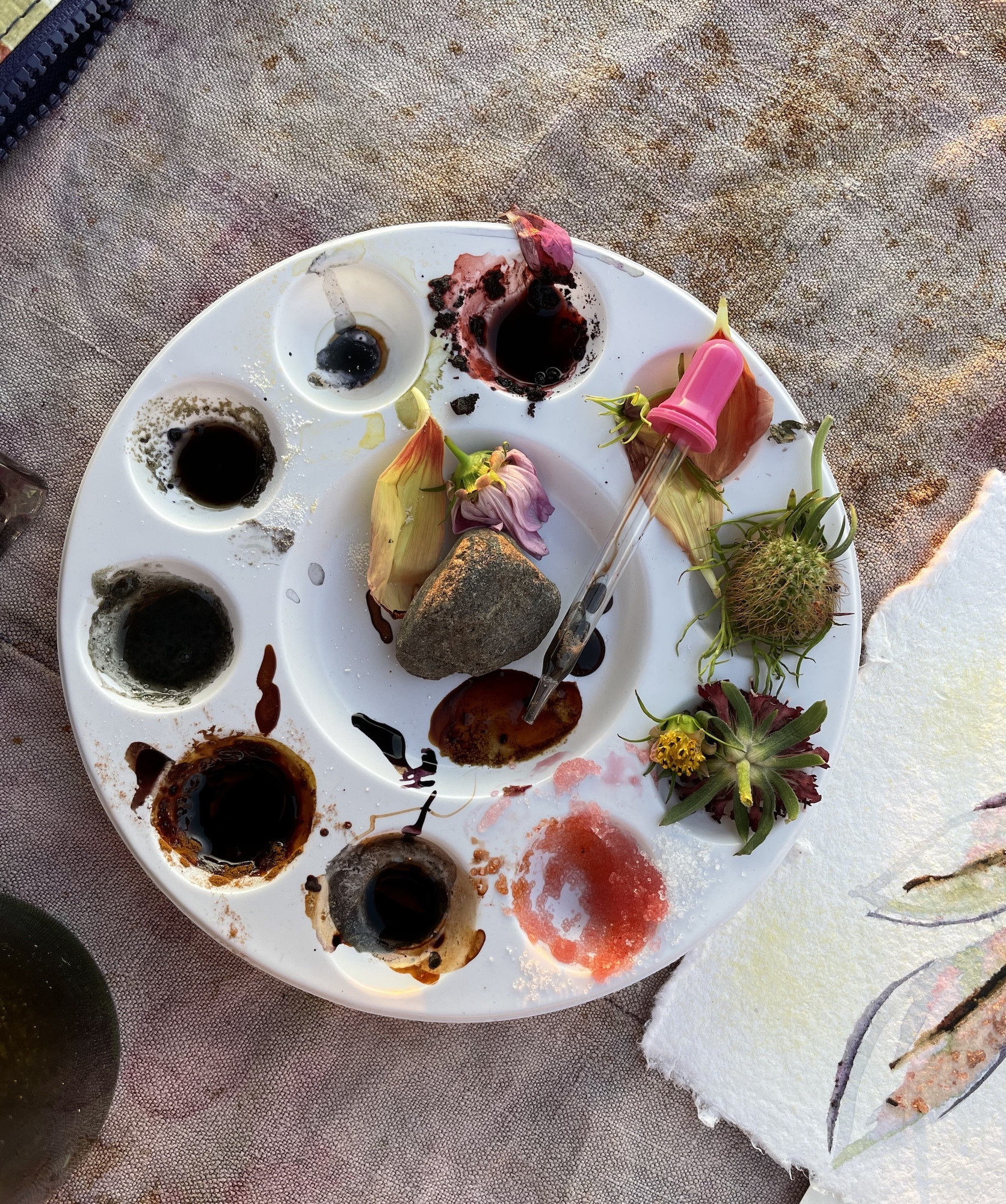 Mineral Color Workshop with Cara Marie Piazza | MoMA