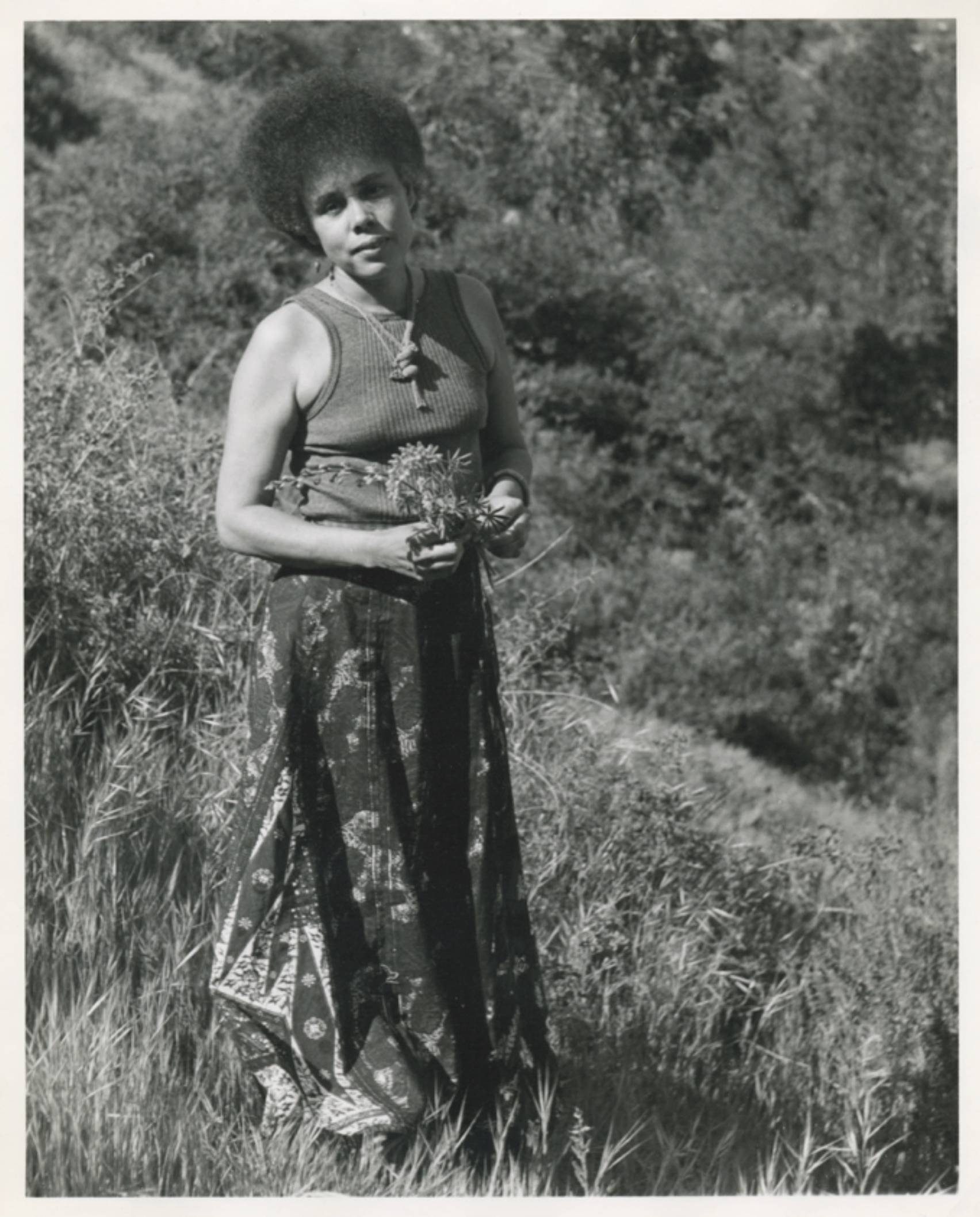 The Wounded Wilderness: Betye Saar on Creation from the Ashes ...