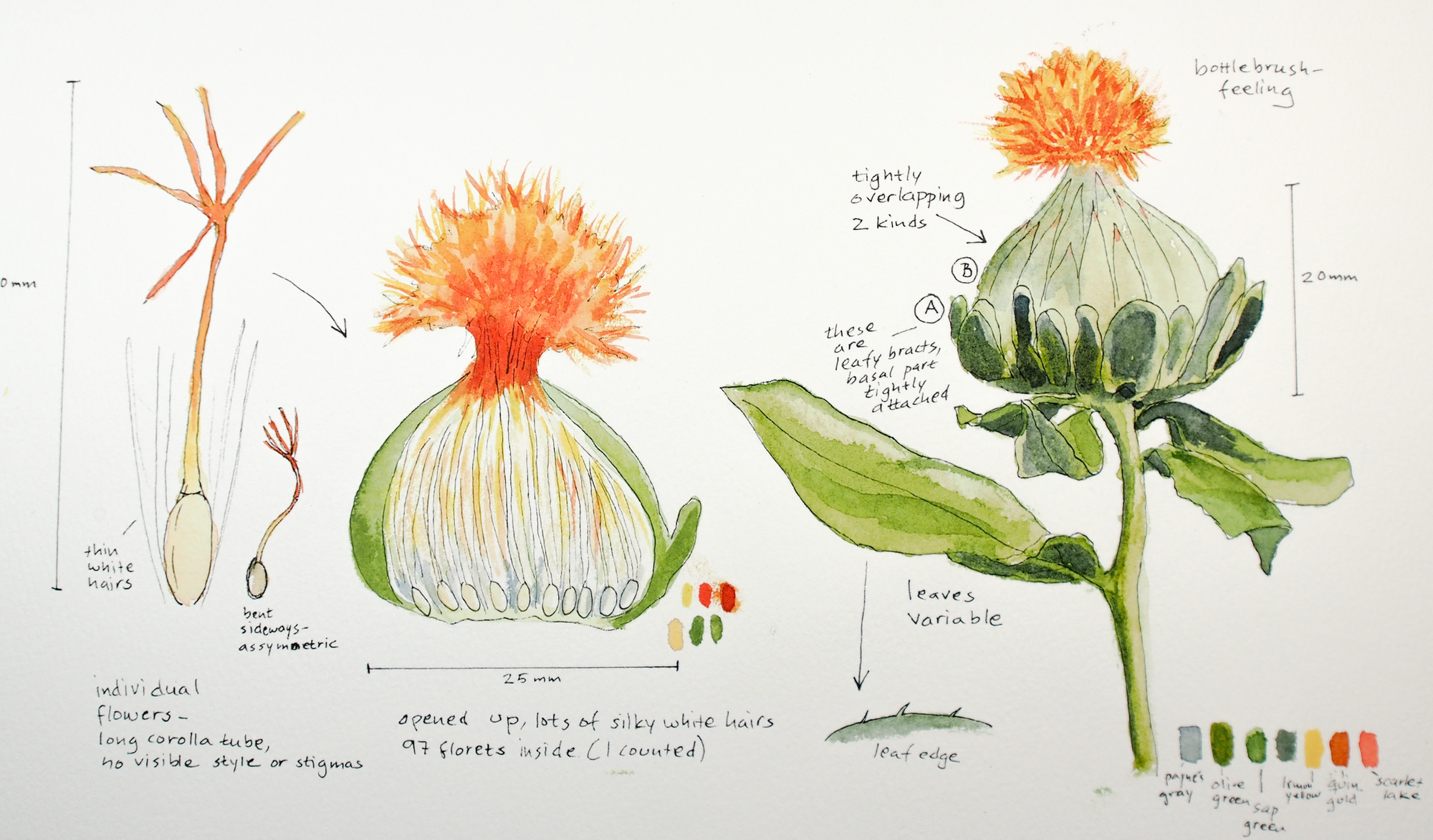 Drop-in Drawing | MoMA
