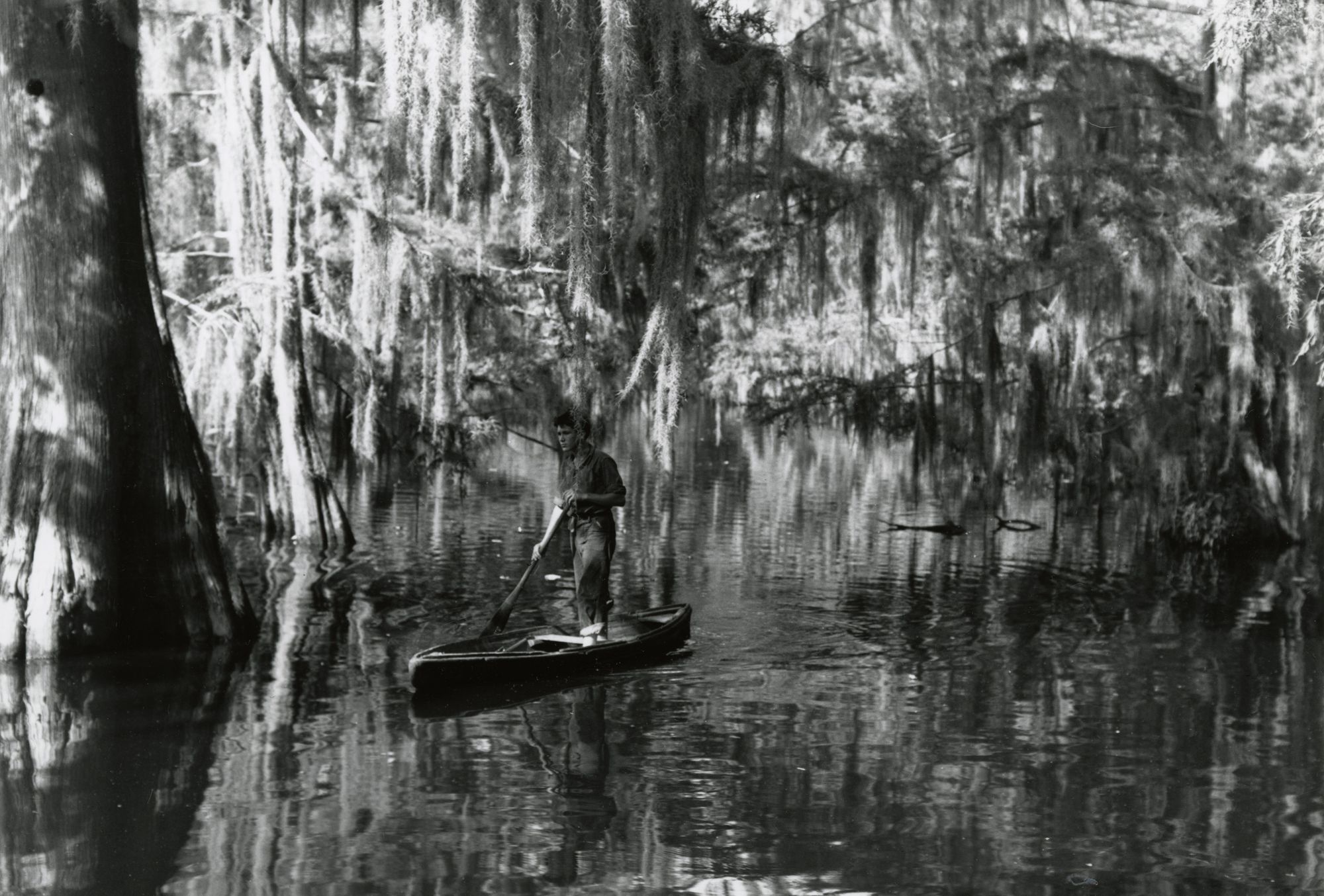 Louisiana Story. 1948. Directed by Robert J. Flaherty | MoMA