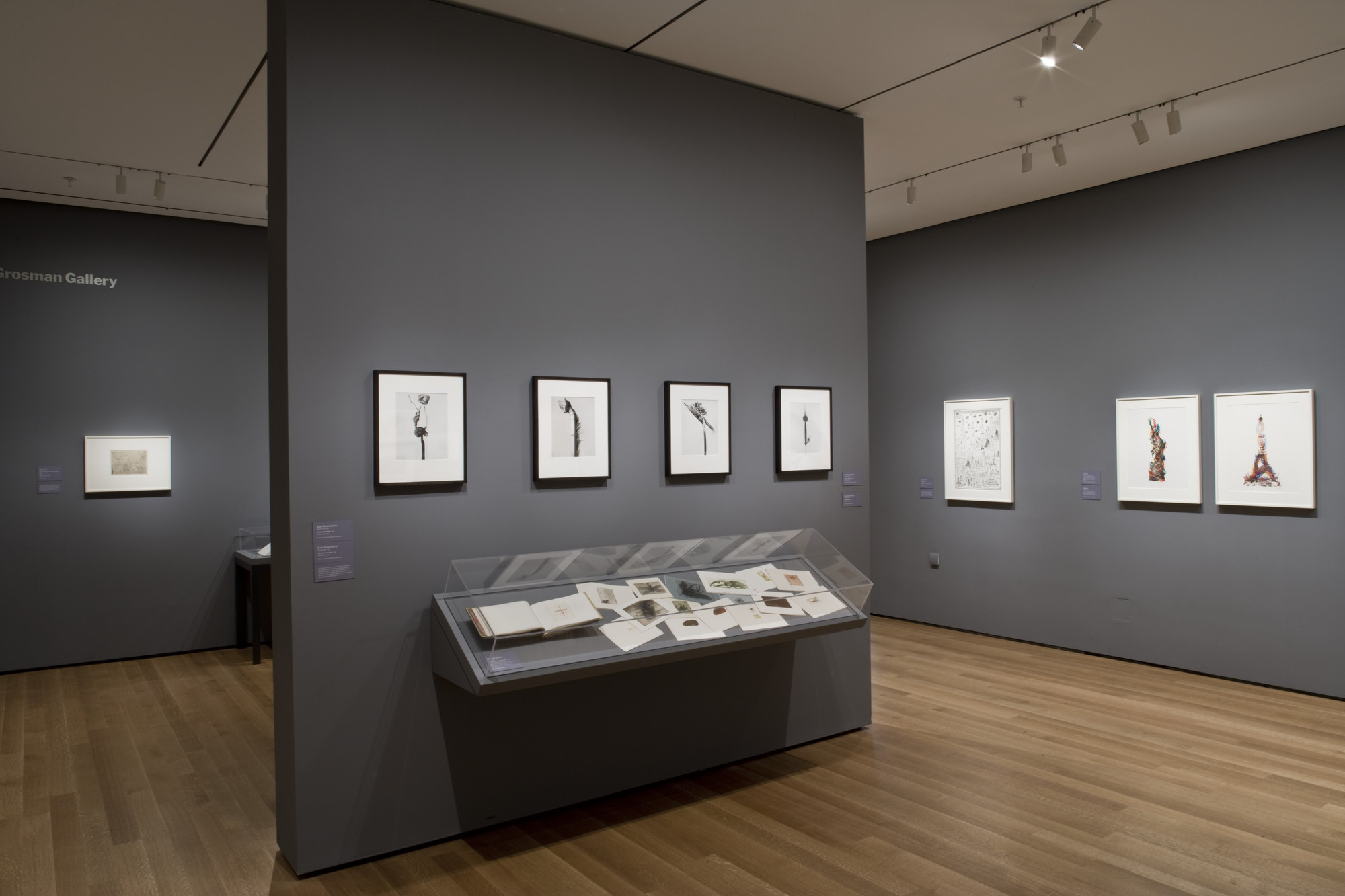 Installation view of the exhibition "Wunderkammer: A Century of ...