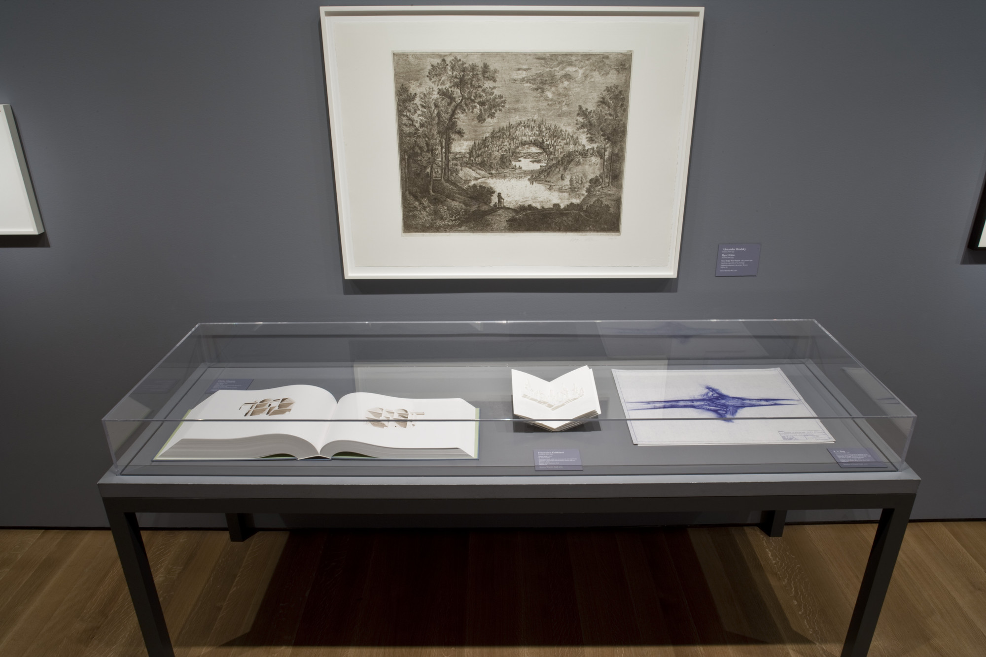 Installation view of the exhibition "Wunderkammer: A Century of ...