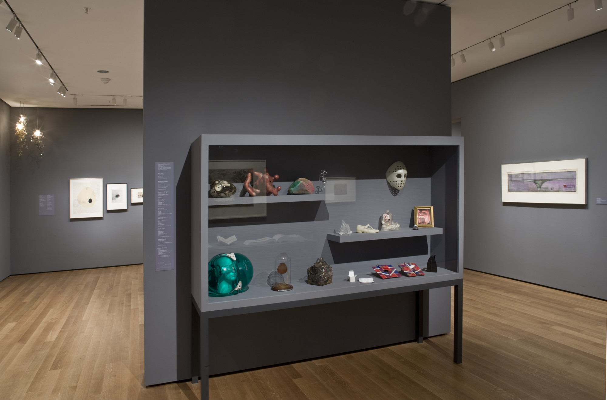 Installation view of the exhibition "Wunderkammer: A Century of ...