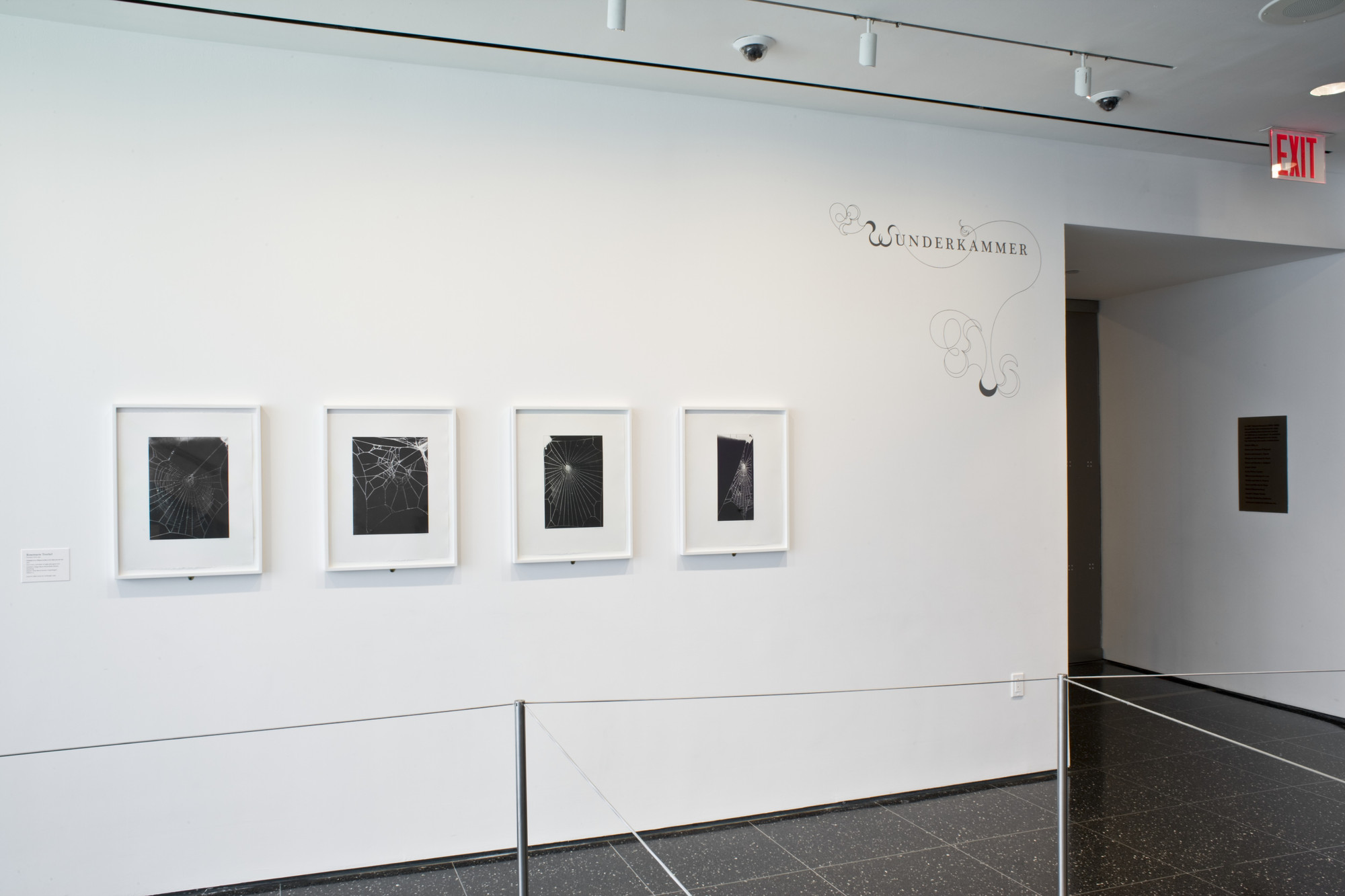 Installation view of the exhibition "Wunderkammer: A Century of ...
