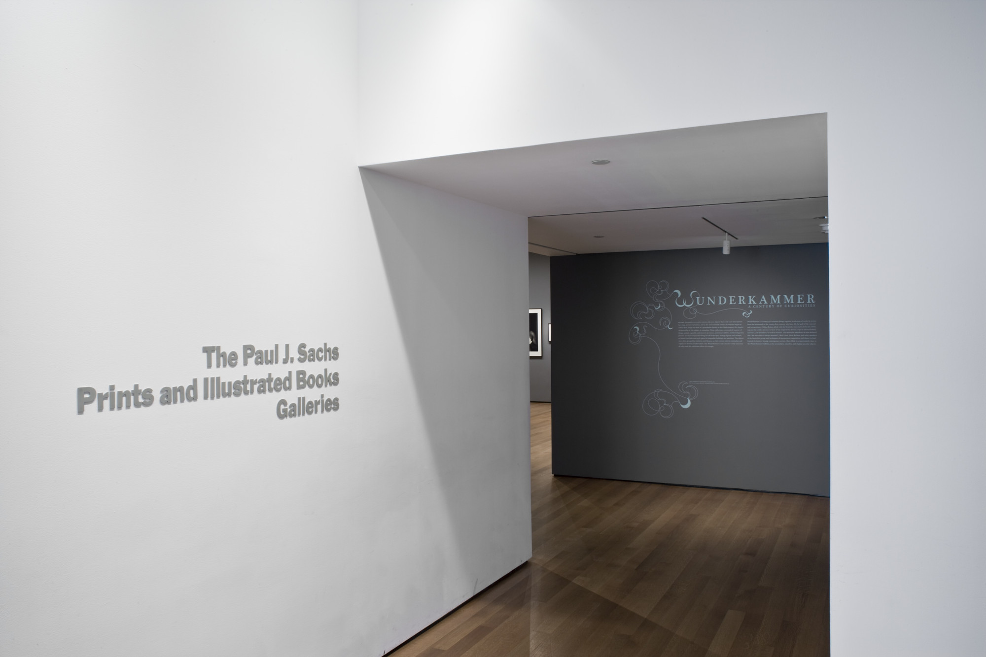 Installation view of the exhibition "Wunderkammer: A Century of ...
