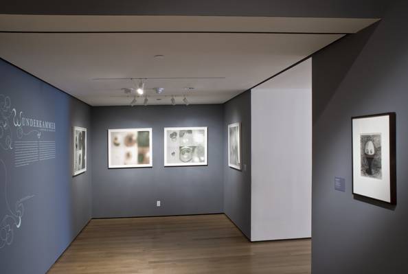 Grenville Davey. Eye. 1993 | MoMA