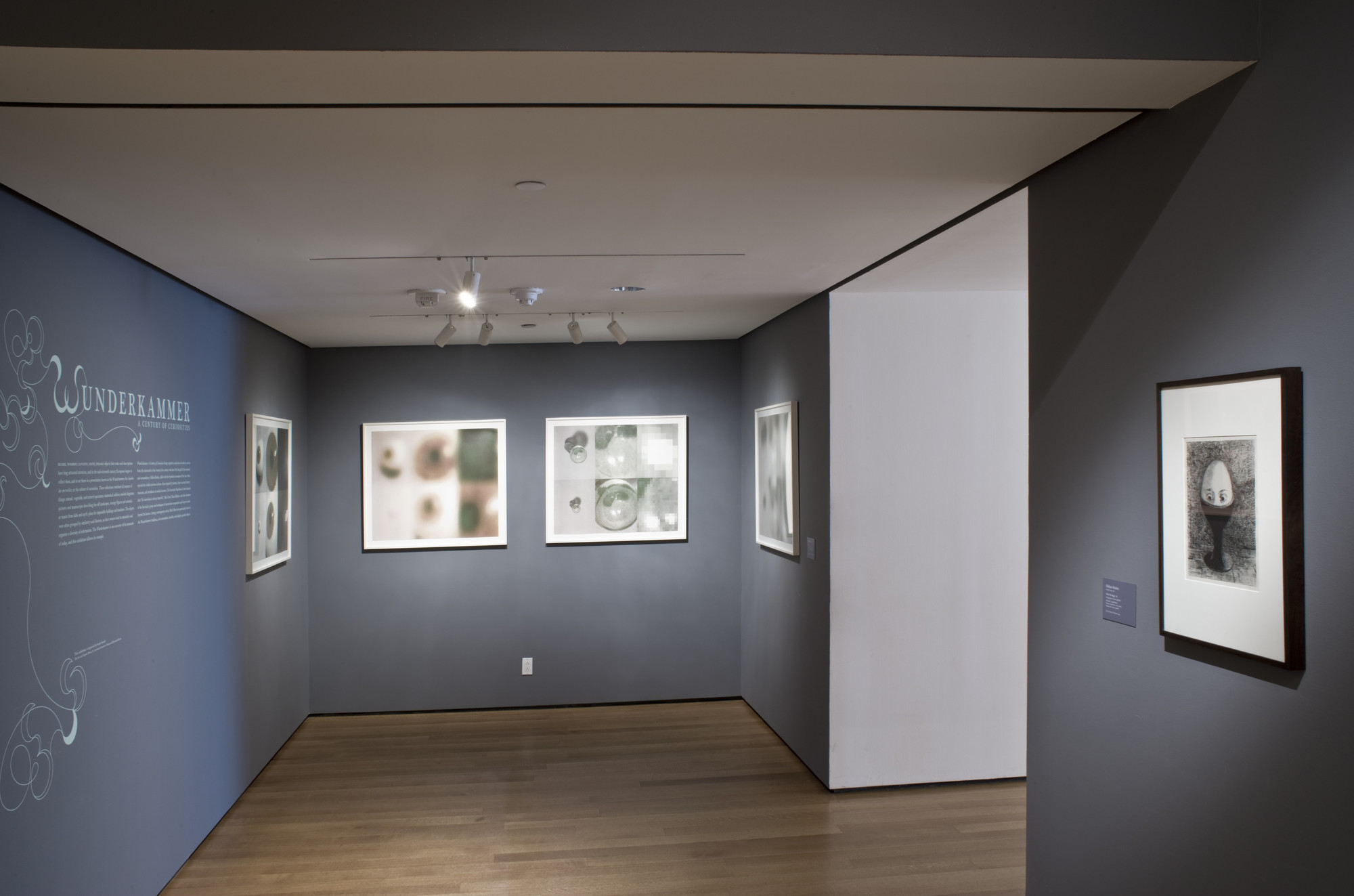 Installation view of the exhibition "Wunderkammer: A Century of ...